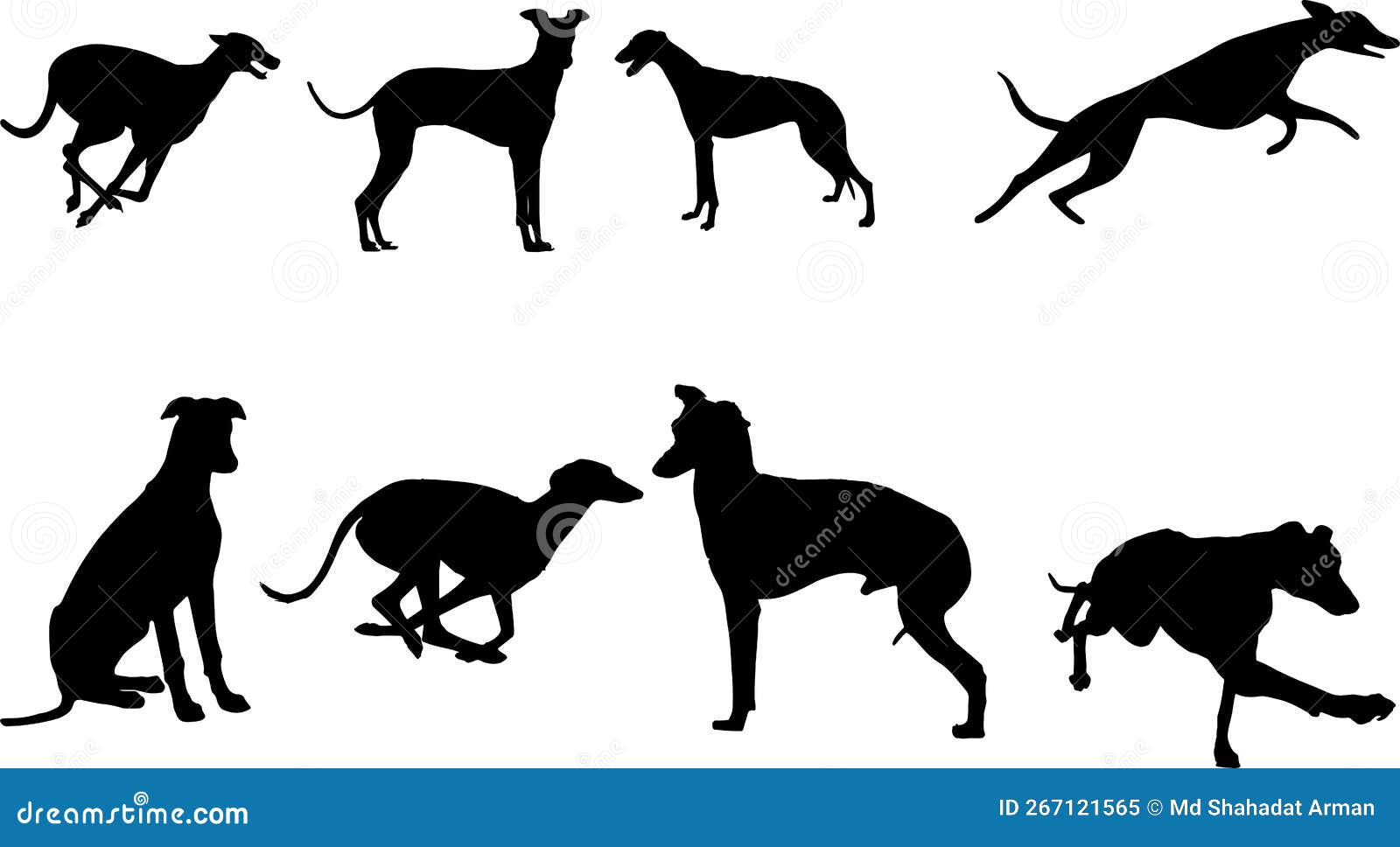 Greyhound Dog Silhouette Set Stock Vector - Illustration of mammal ...
