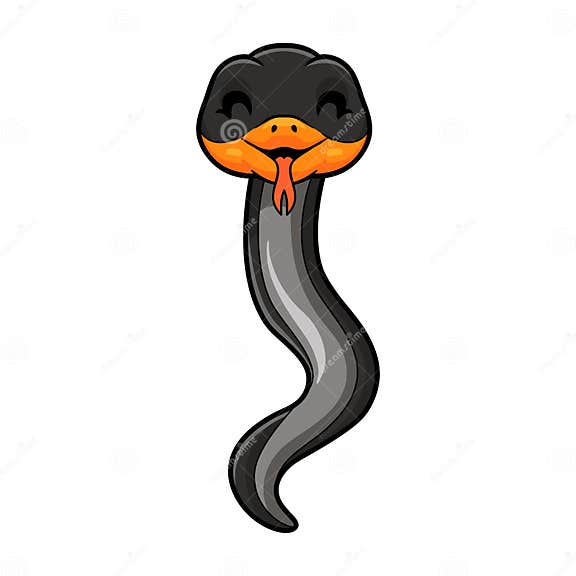 Cute Black Copper Rat Snake Cartoon Stock Vector - Illustration of ...