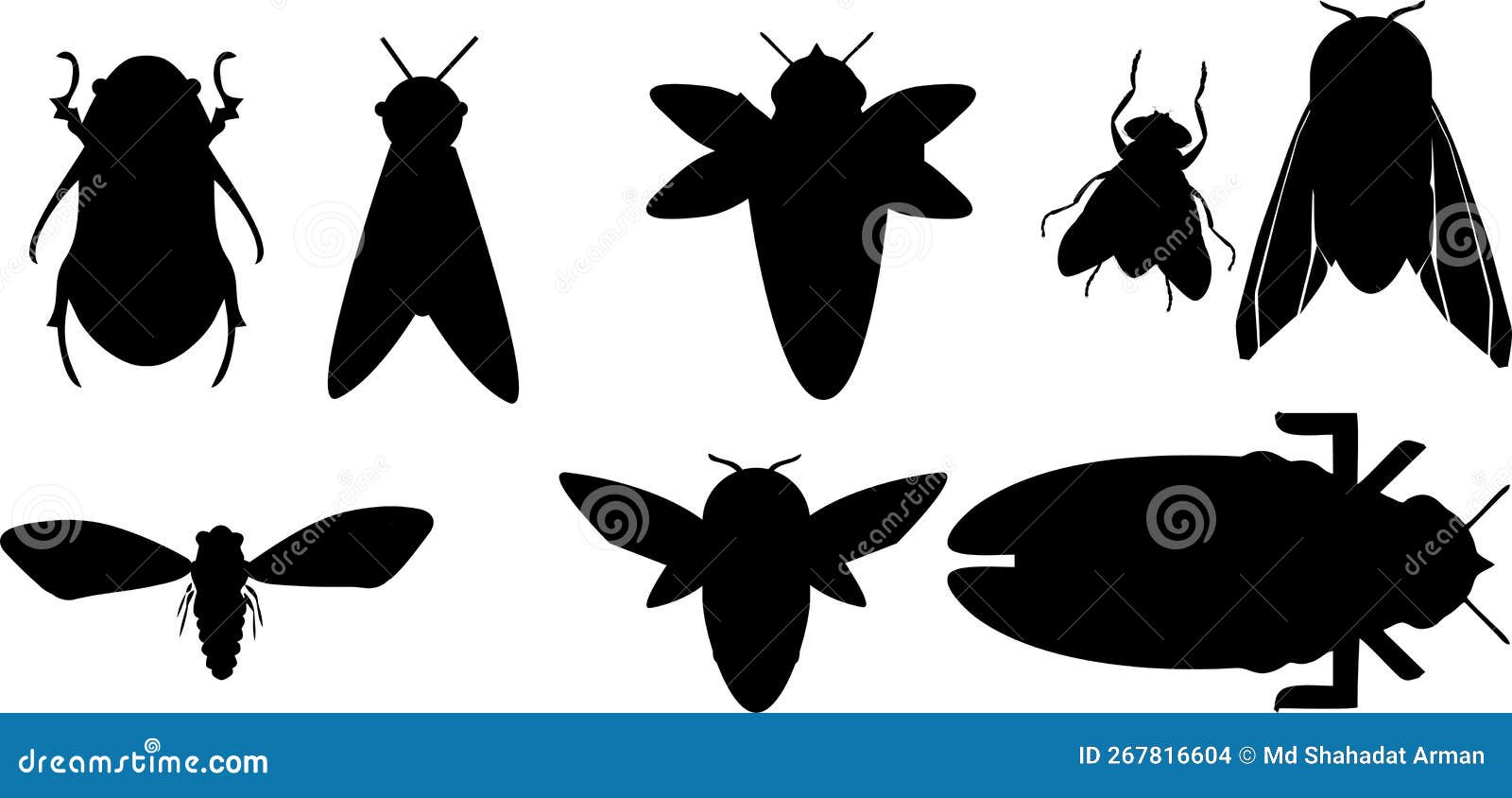 Flies Silhouette Icon Set. Housefly Insects Flying On Dotted Route ...