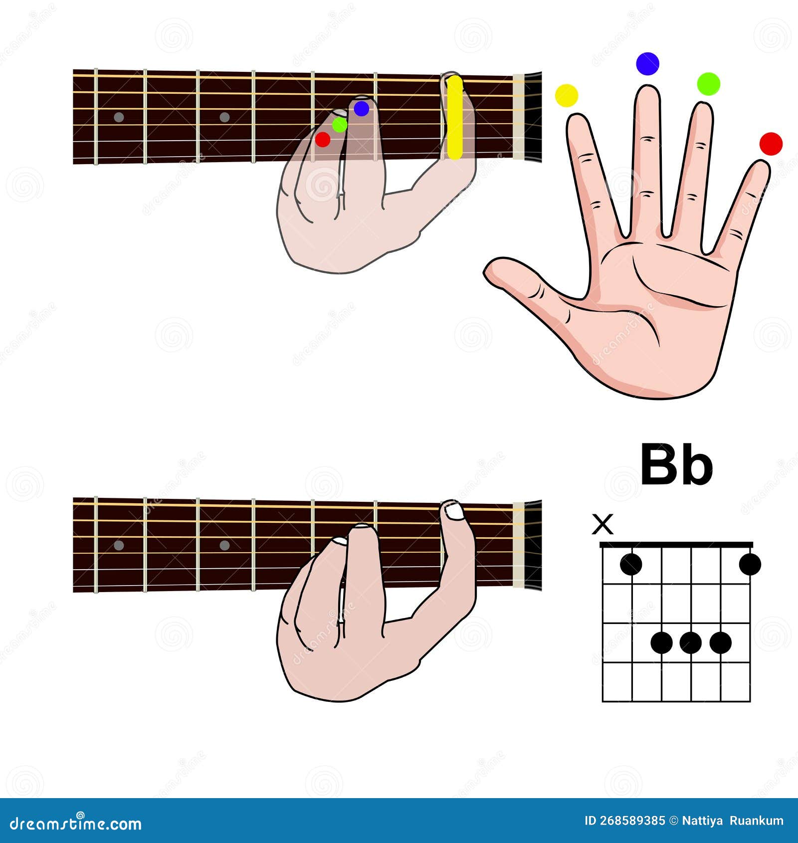 Guitar Chord Basic and Hand Position for Guitar Chord Vector. Isolated ...