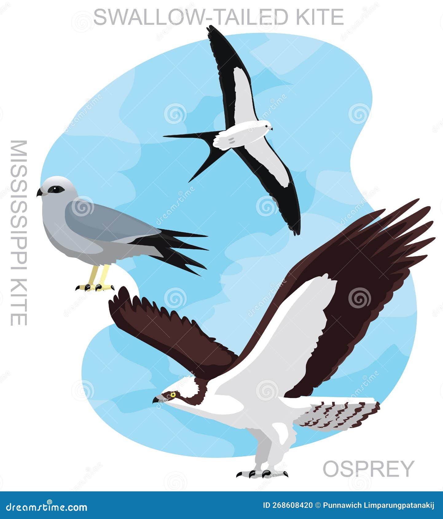 Cute Bird Osprey Kite Set Cartoon Vector Stock Vector - Illustration of ...
