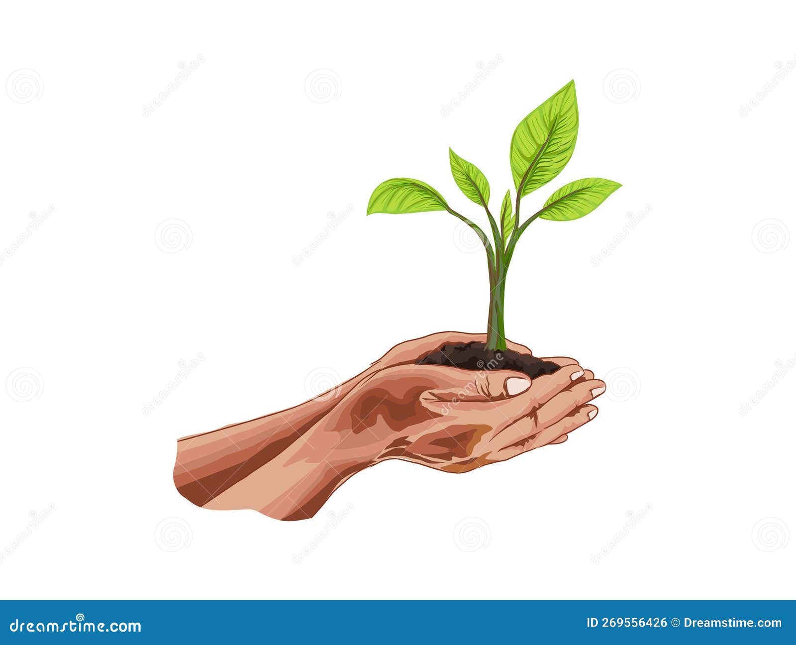 Greening, Hand Holding Soil with Growing Plants Stock Illustration ...