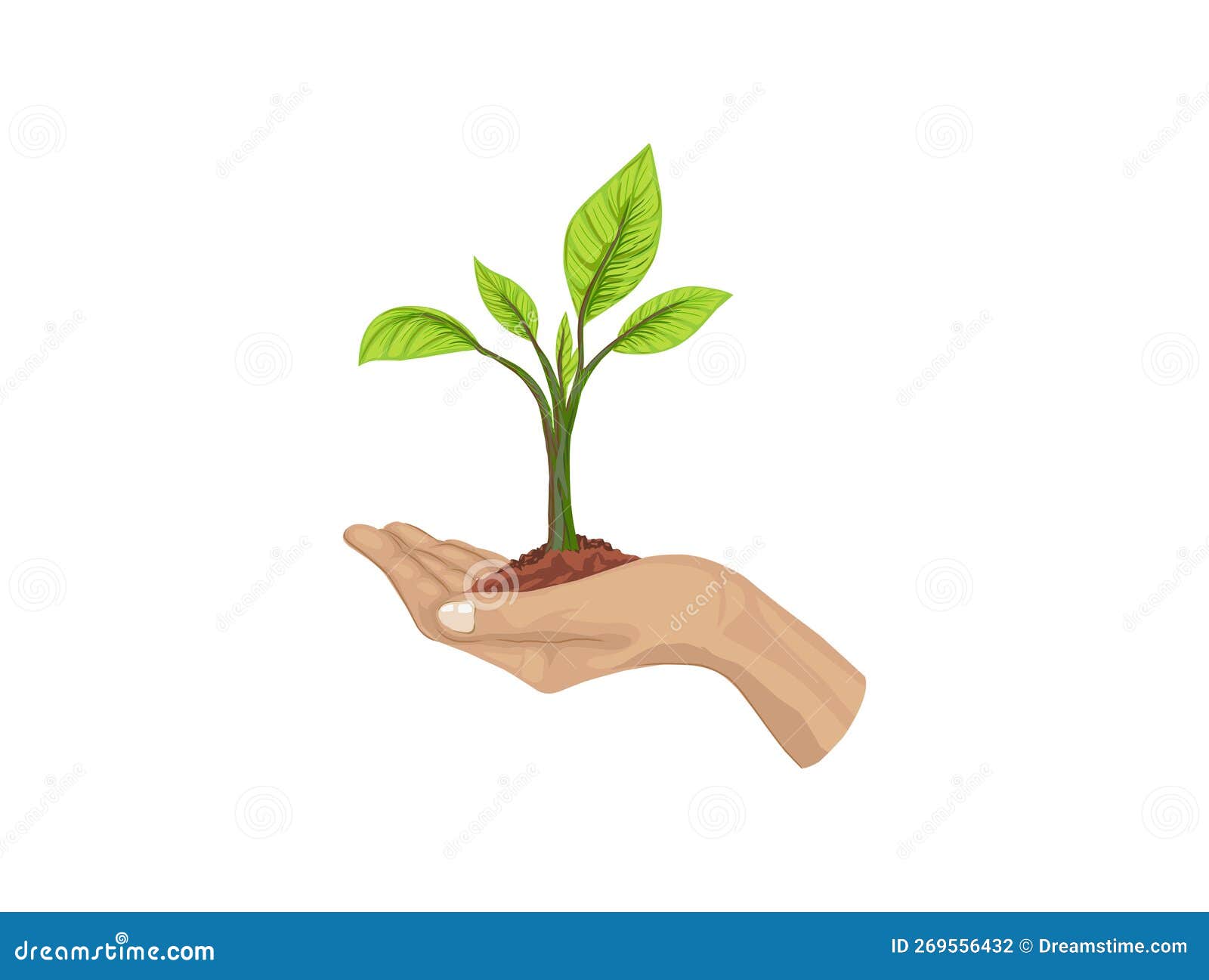 Hand Holding Soil with Growing Plants. Stock Illustration ...
