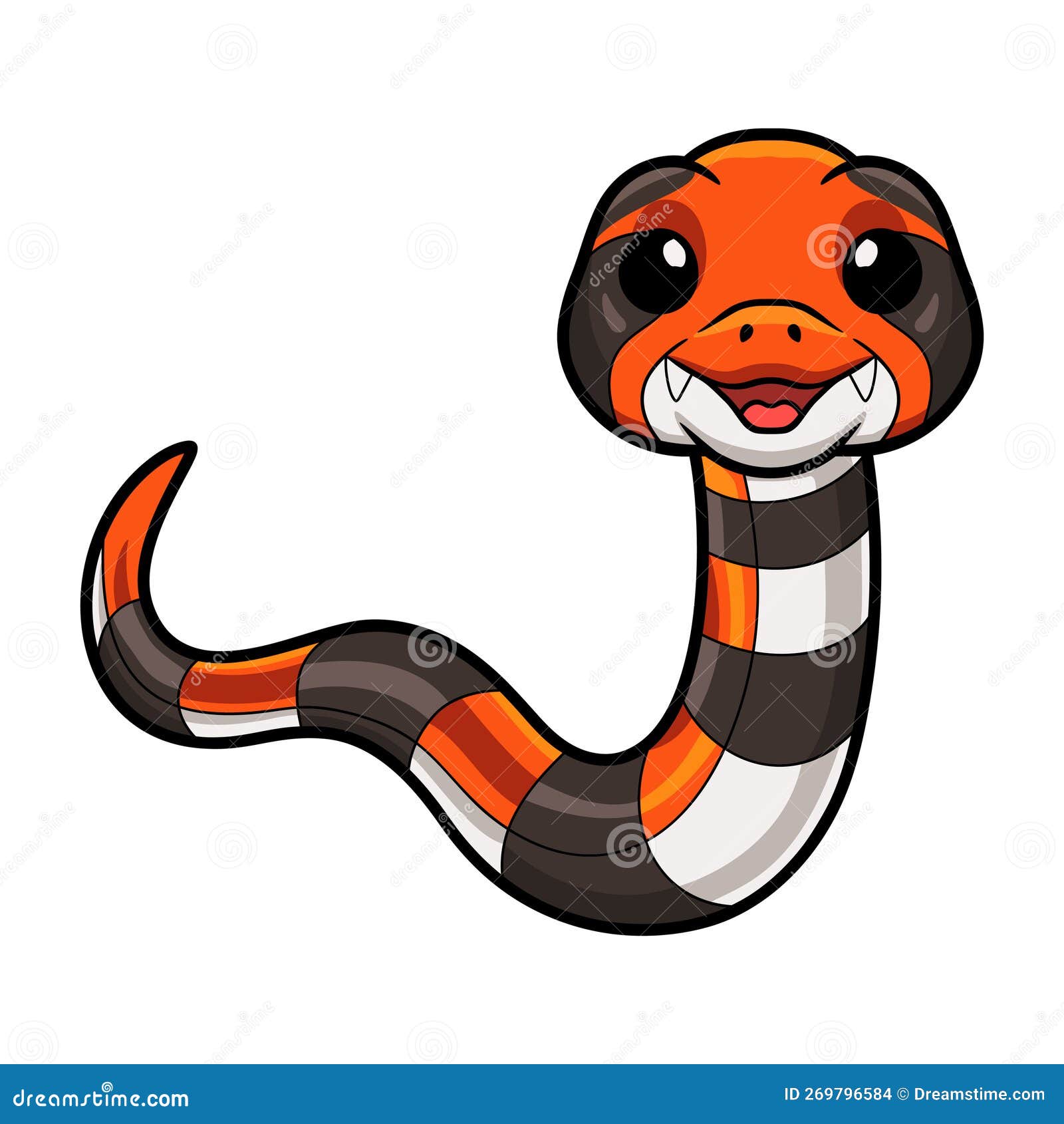 Cute Cape Coral Snake Cartoon Stock Vector - Illustration of african ...