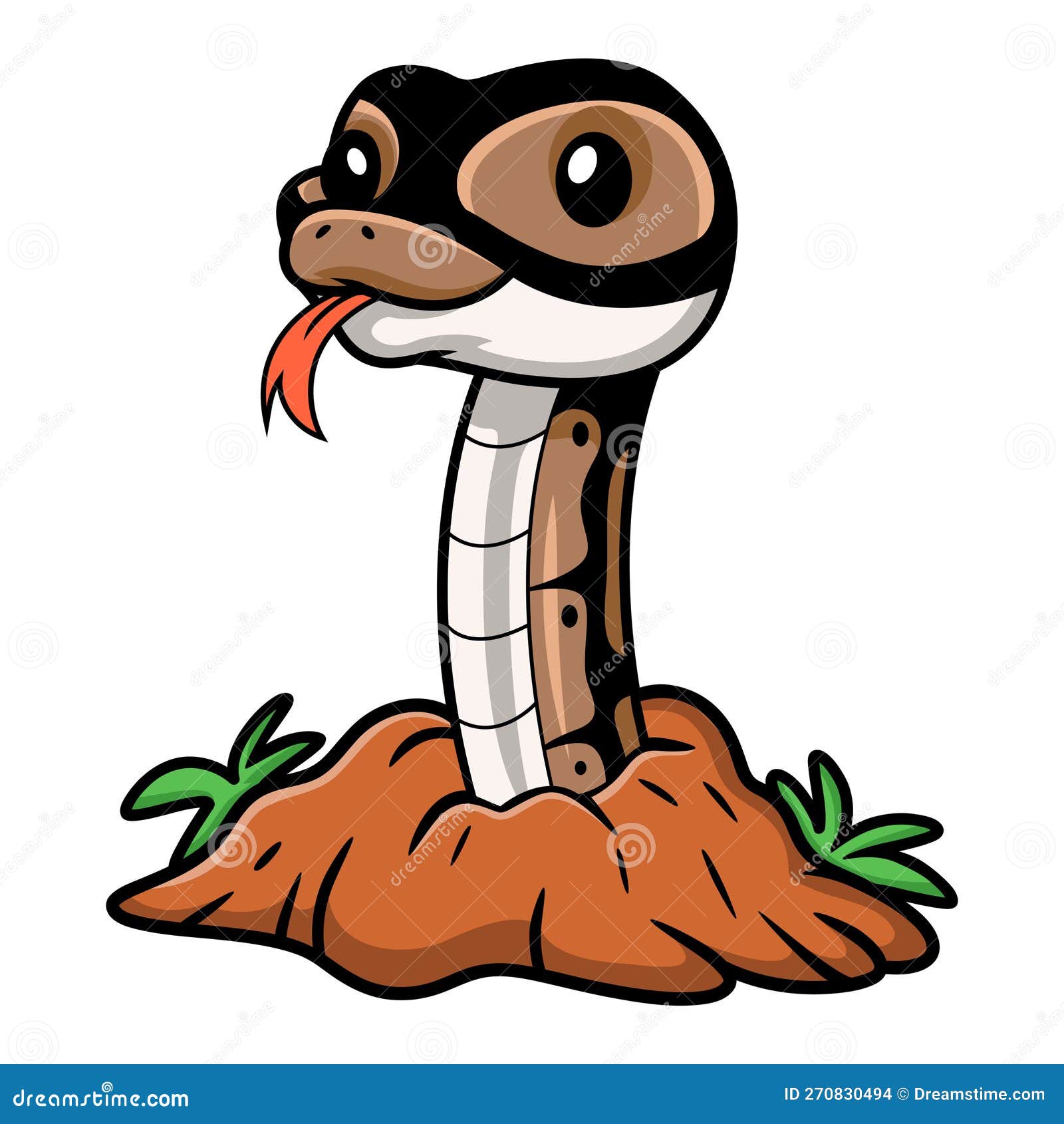 Cute Ball Python Snake Cartoon Out from Hole Stock Vector ...