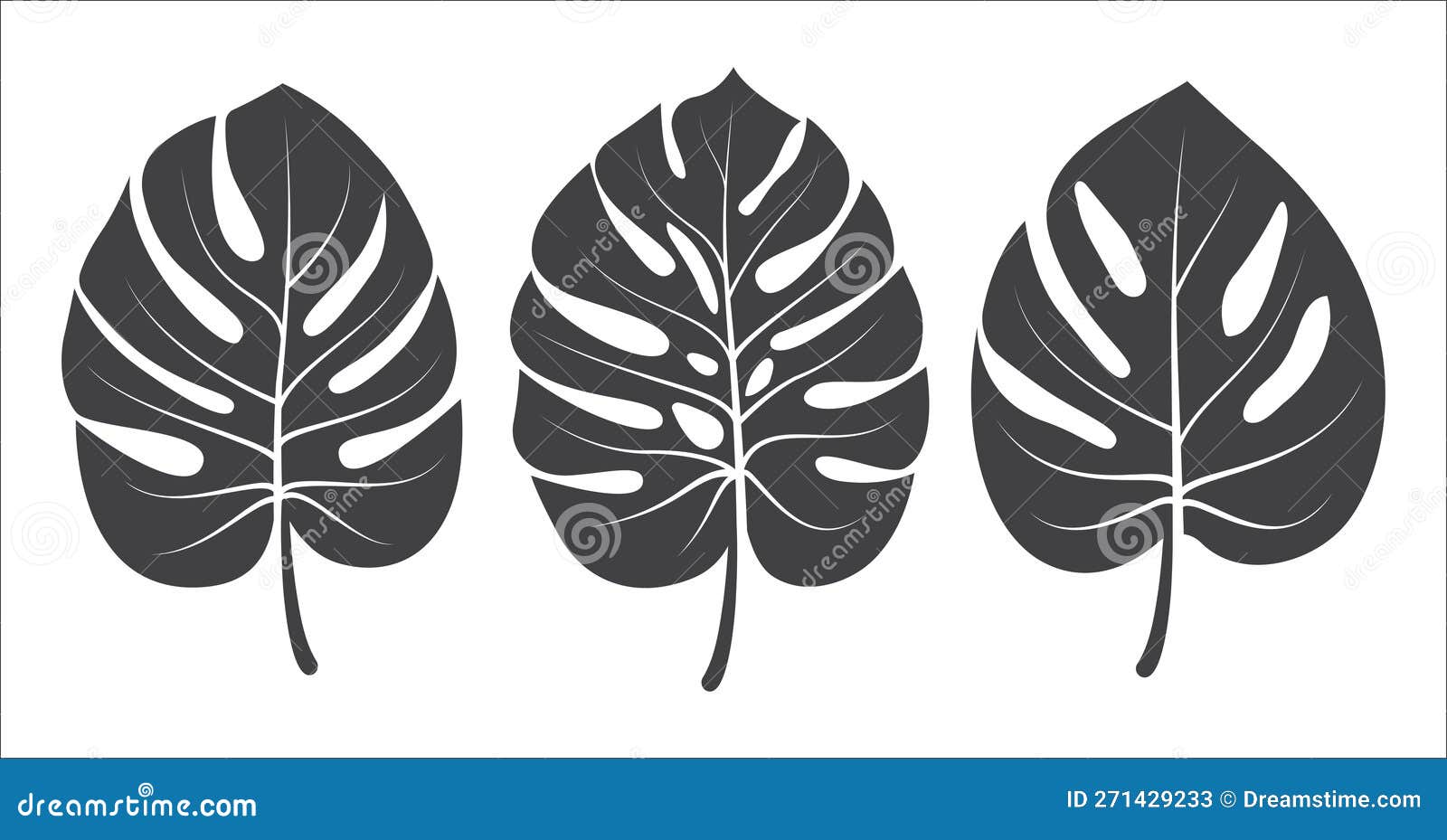 Monstera Leaves Icon Set Collection. Stock Vector - Illustration of ...
