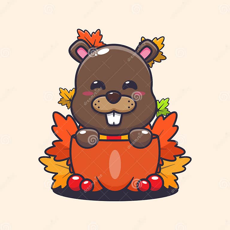 Cute Beaver in a Pumpkin at Autumn Season. Stock Vector - Illustration ...