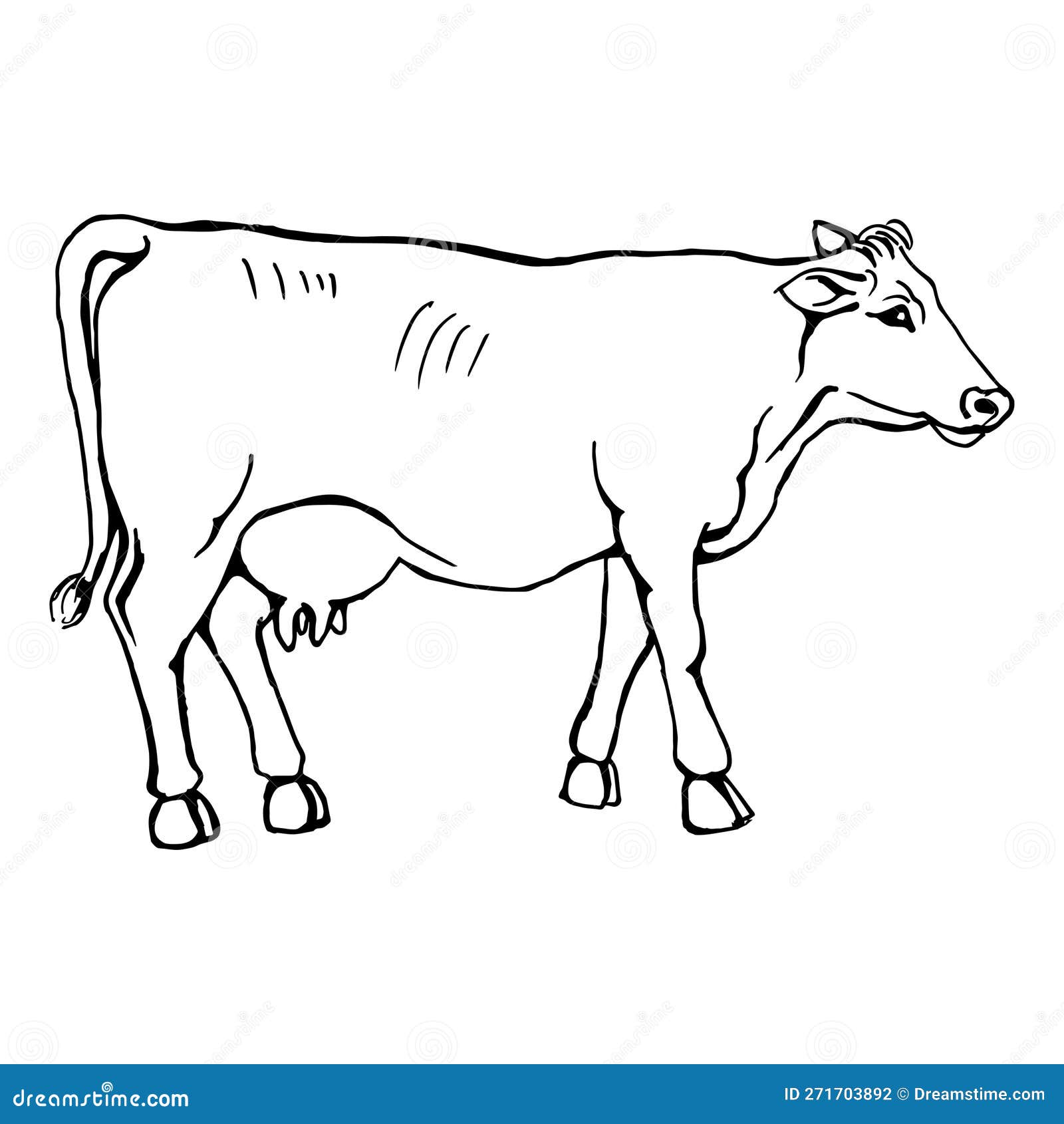 Cow on the Side. Drawing with Black Lines, Marker Stock Vector ...