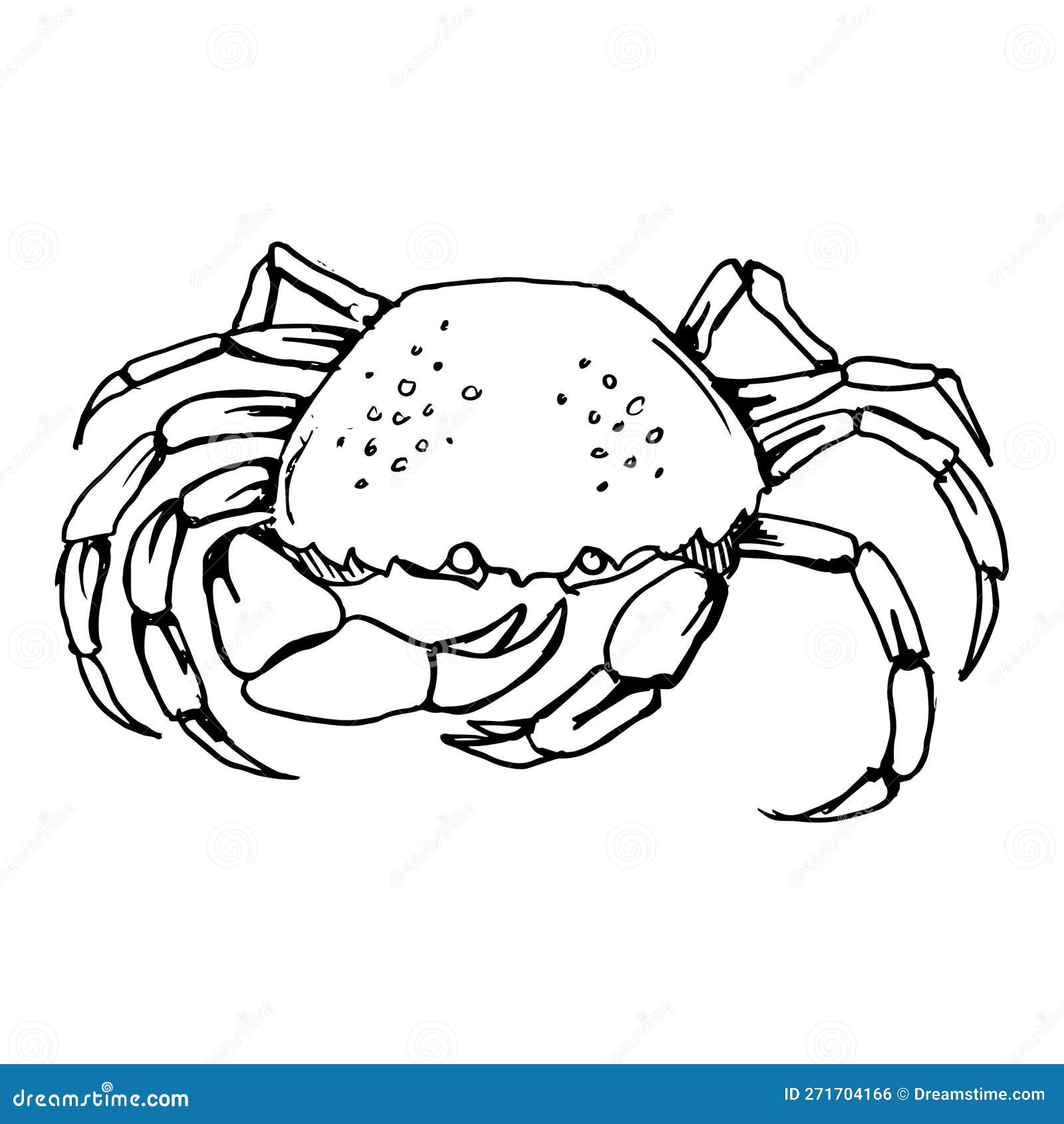 Crab. Drawing With Black Lines, Marker, Line Art. Vector Illustration ...