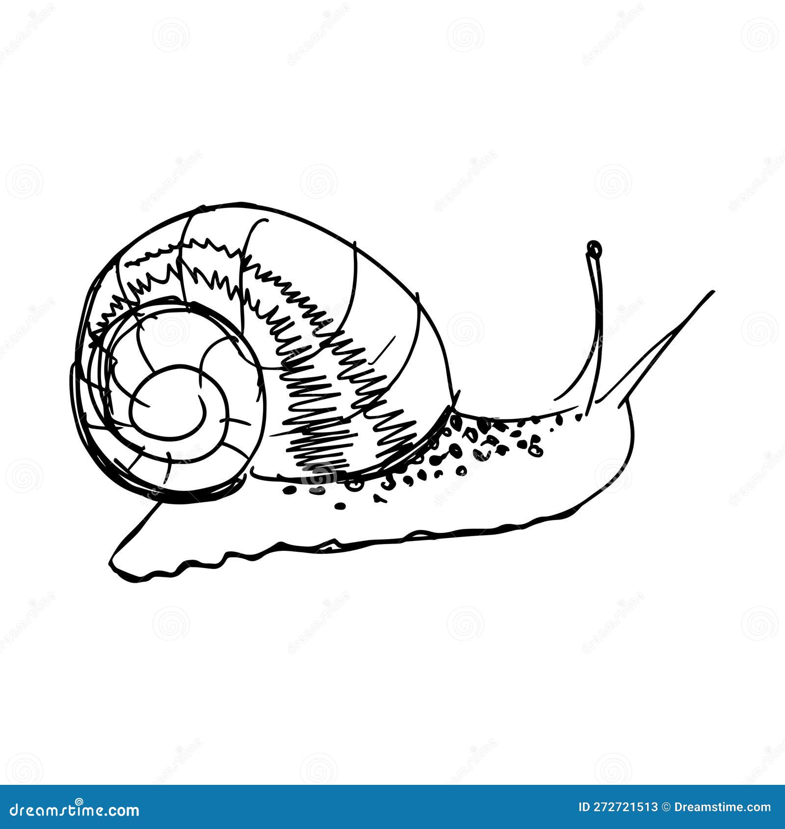 Abstract, Minimalistic Sketch of a Snail. Stock Vector - Illustration ...