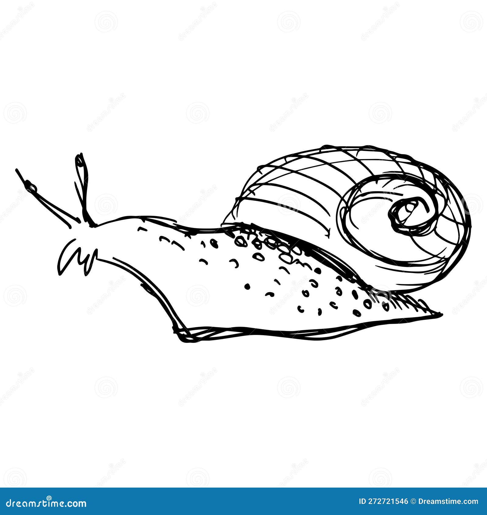 Abstract, Minimalistic Sketch of a Snail. Stock Vector - Illustration ...