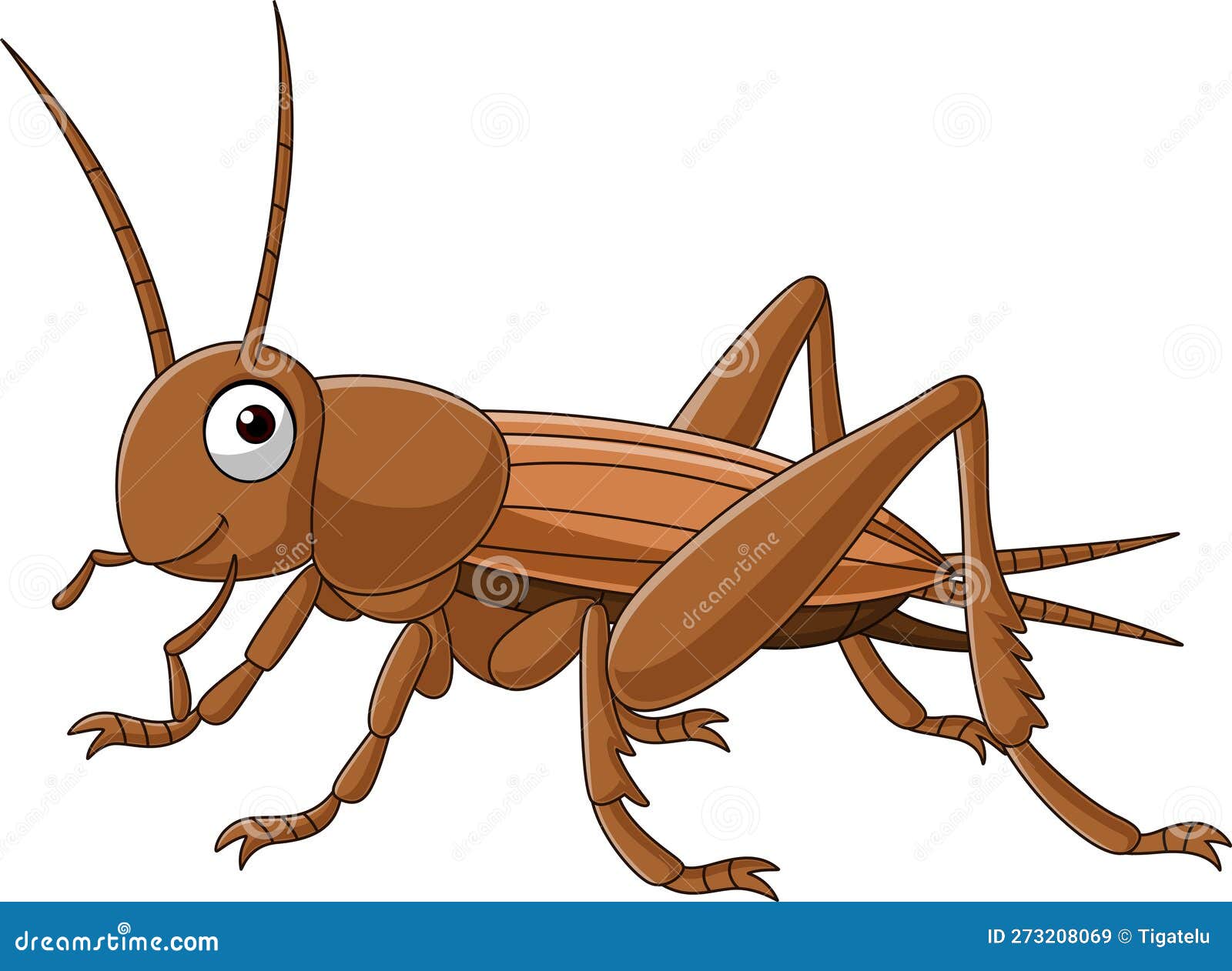 Pictures Of Animated Crickets