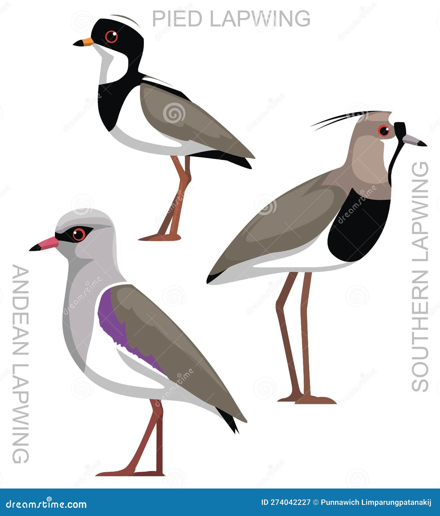 Cute Bird Southern Lapwing Set Cartoon Vector Stock Vector ...