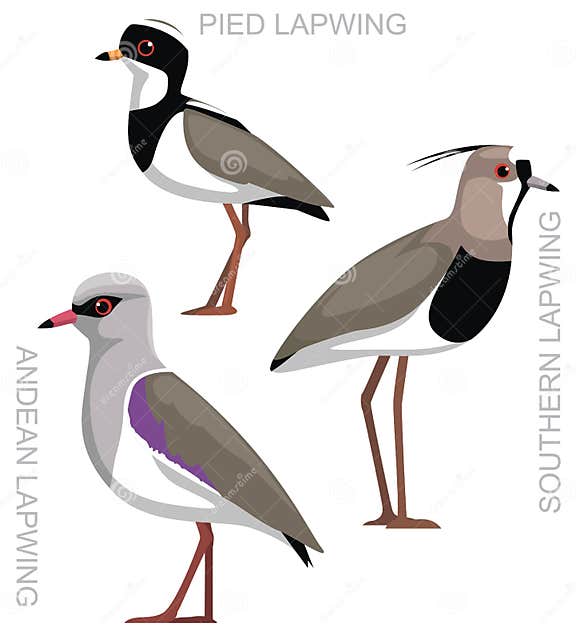 Cute Bird Southern Lapwing Set Cartoon Vector Stock Vector ...