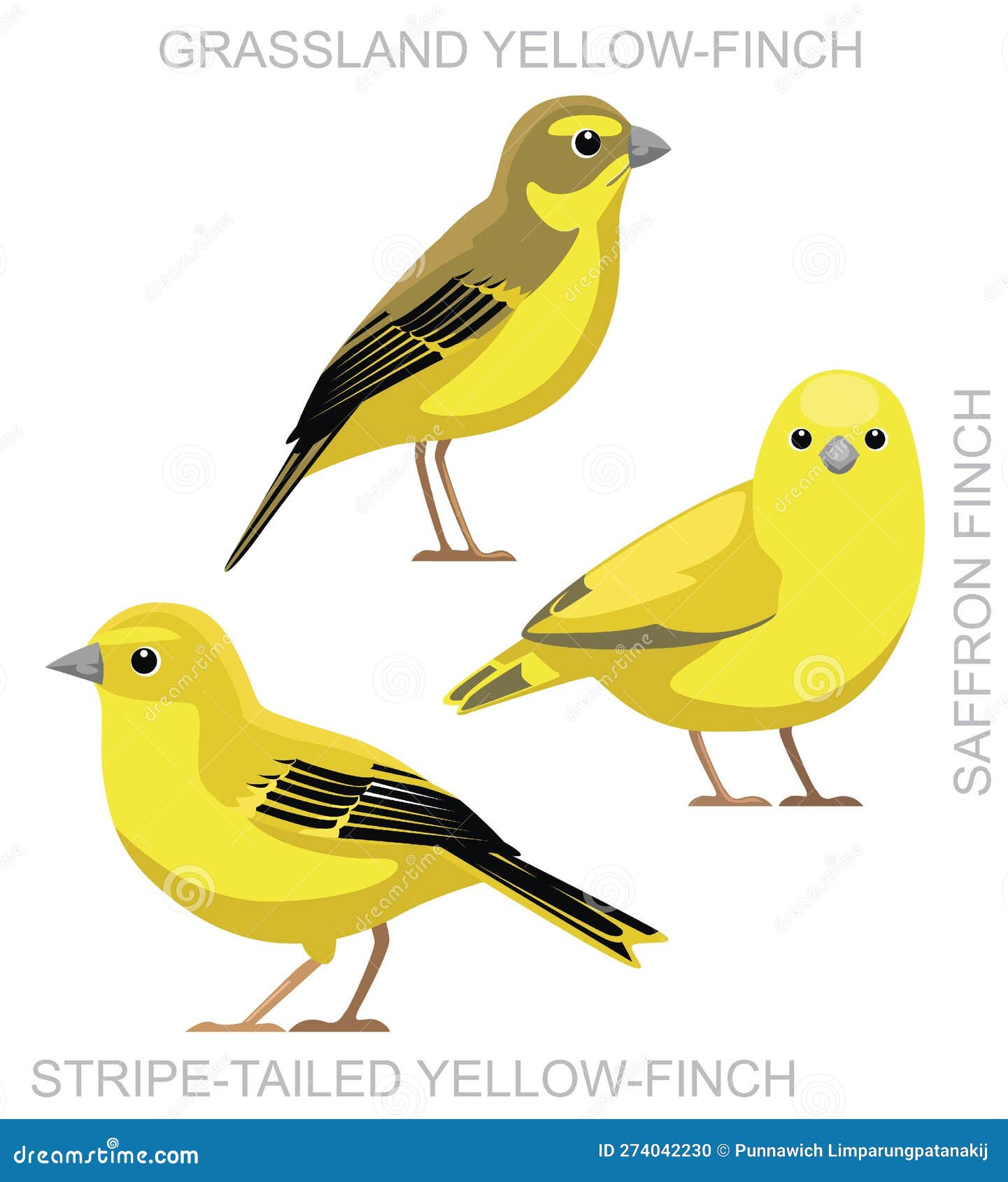 Cute Bird Saffron Finch Yellow Set Cartoon Vector Stock Vector ...
