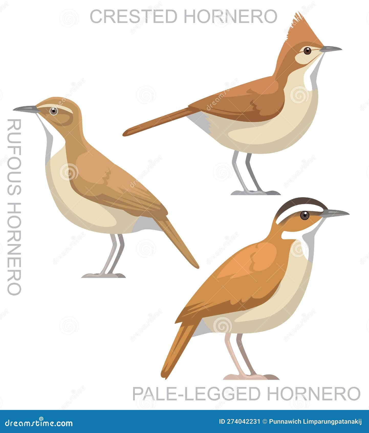 Cute Bird Hornero Set Cartoon Vector Stock Vector - Illustration of ...