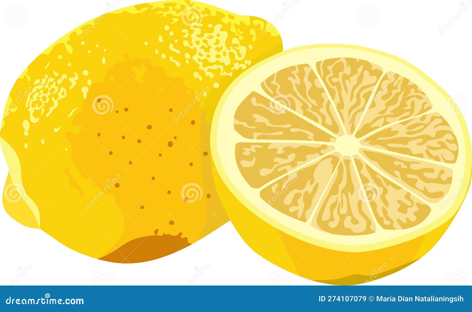Lemon Acid Fruit Plant Vector Illustration Stock Vector - Illustration ...