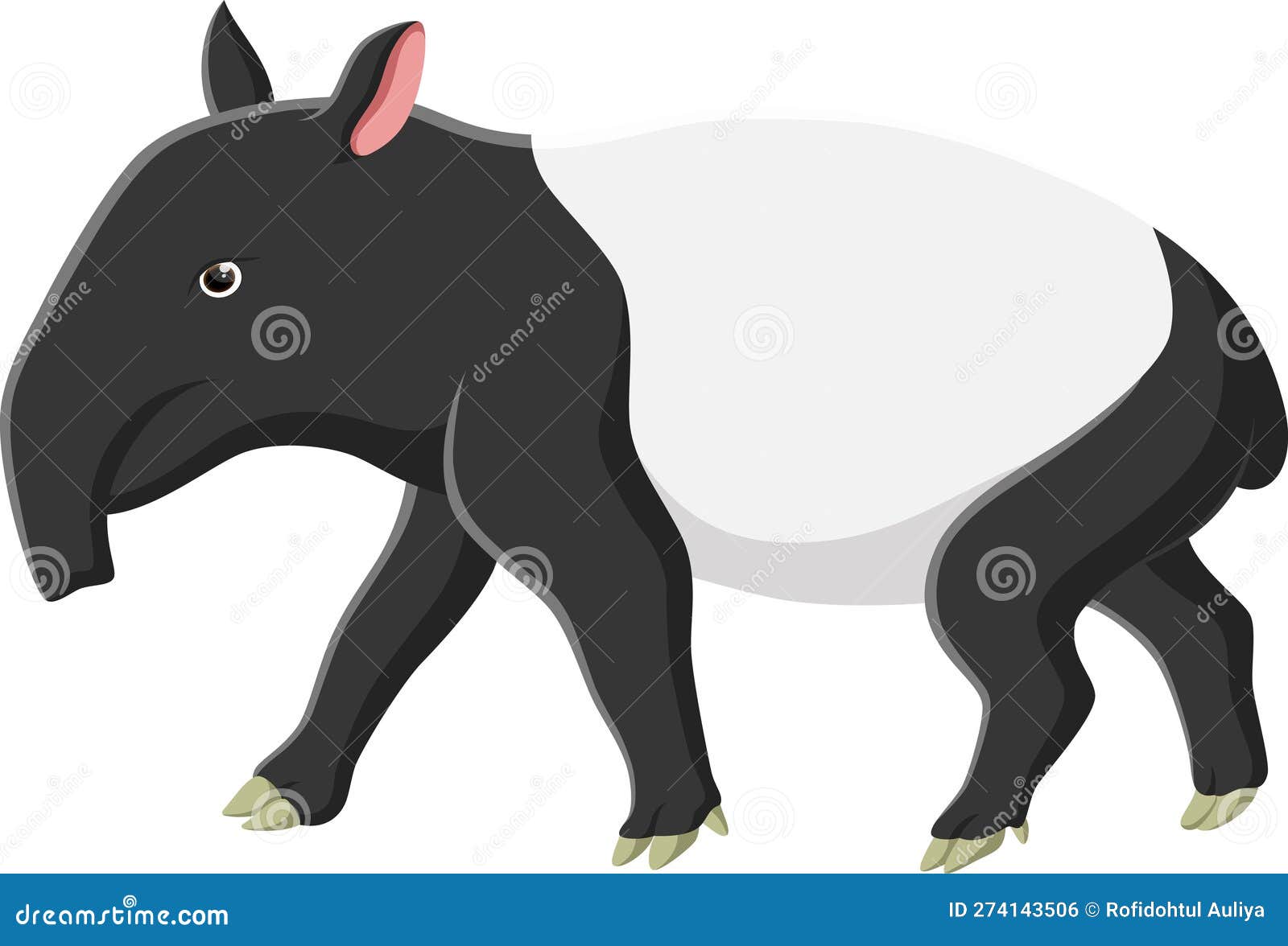 Tapir Cartoon Isolated on White Background Stock Illustration ...