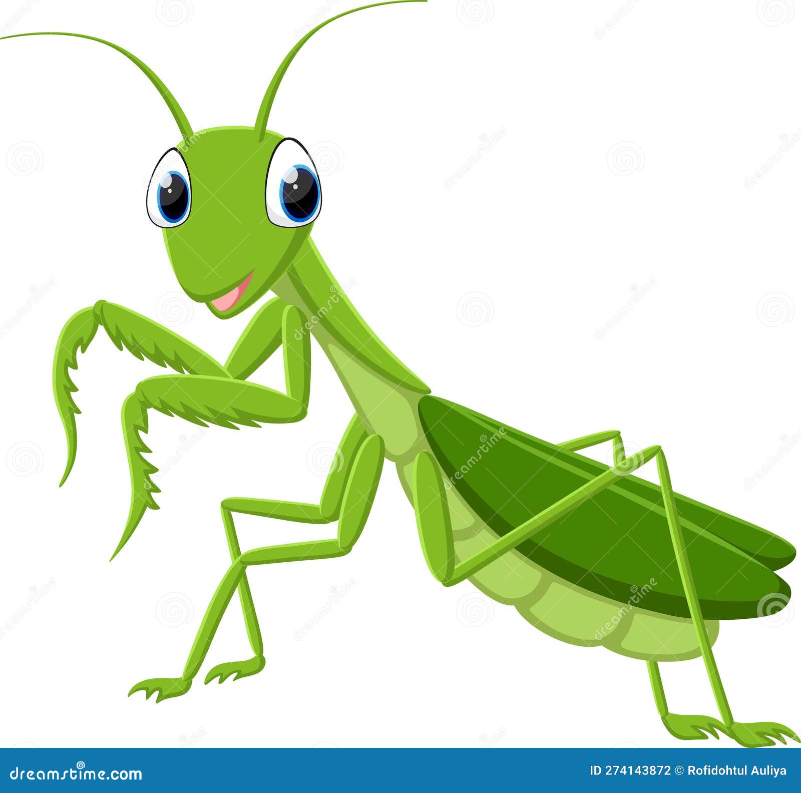 Cartoon Green Mantis Isolated on White Stock Illustration ...