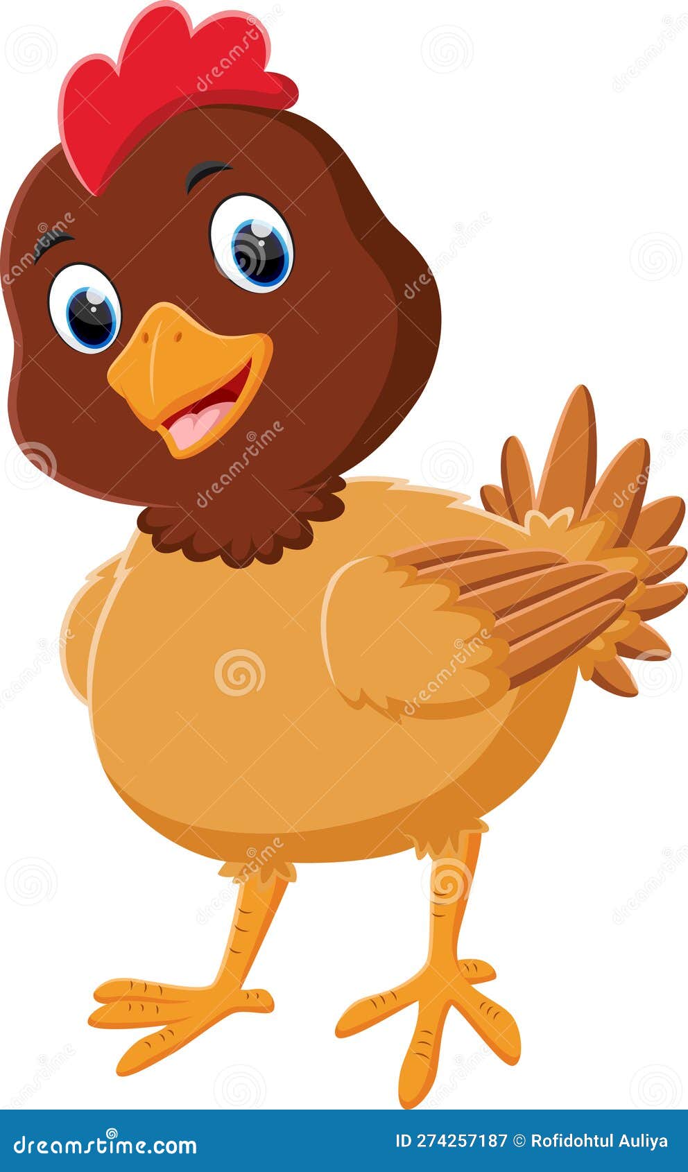 Cartoon Funny Chicken Hen, Isolated on White Stock Illustration ...