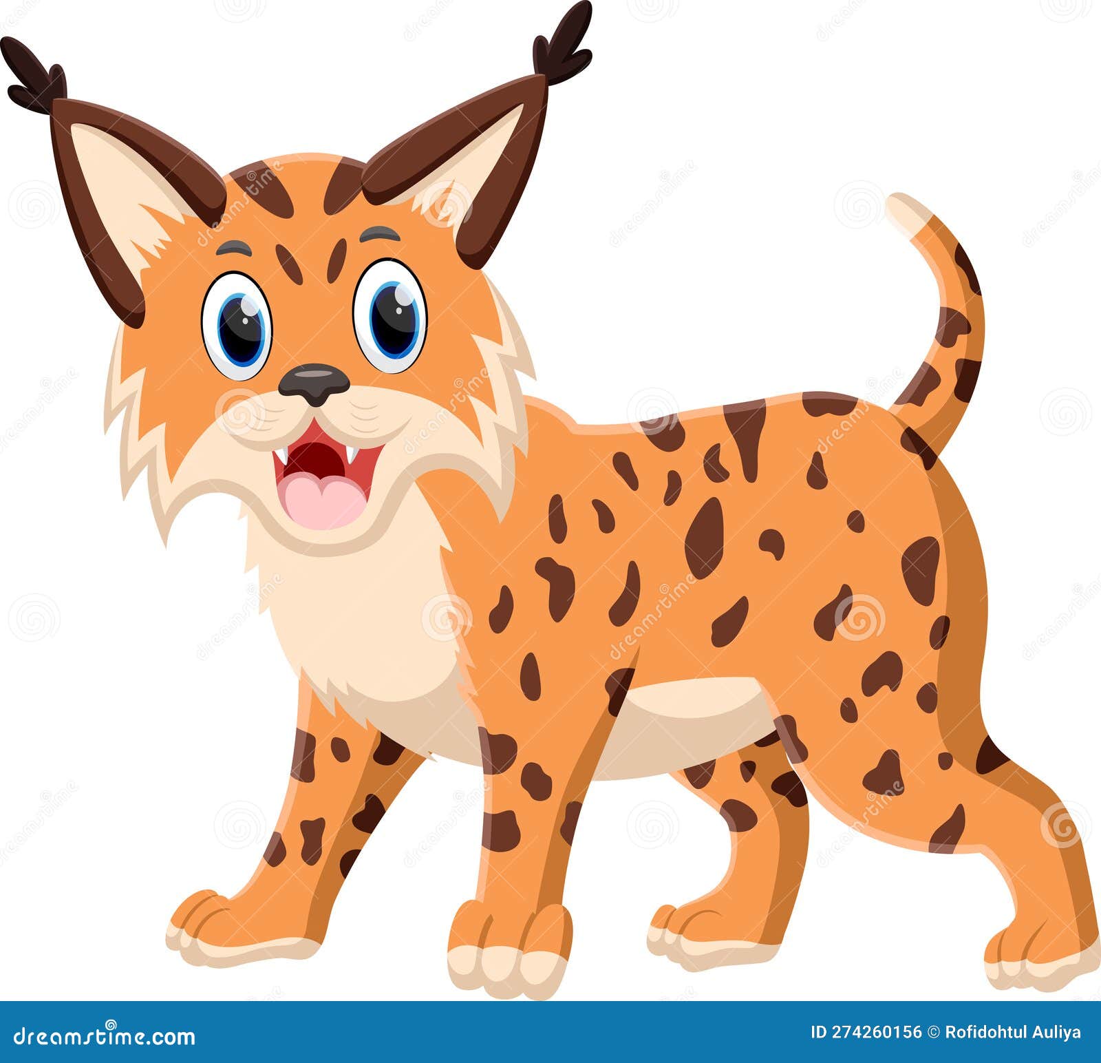 Cartoon Cute Bobcat, Isolated on White Stock Illustration ...