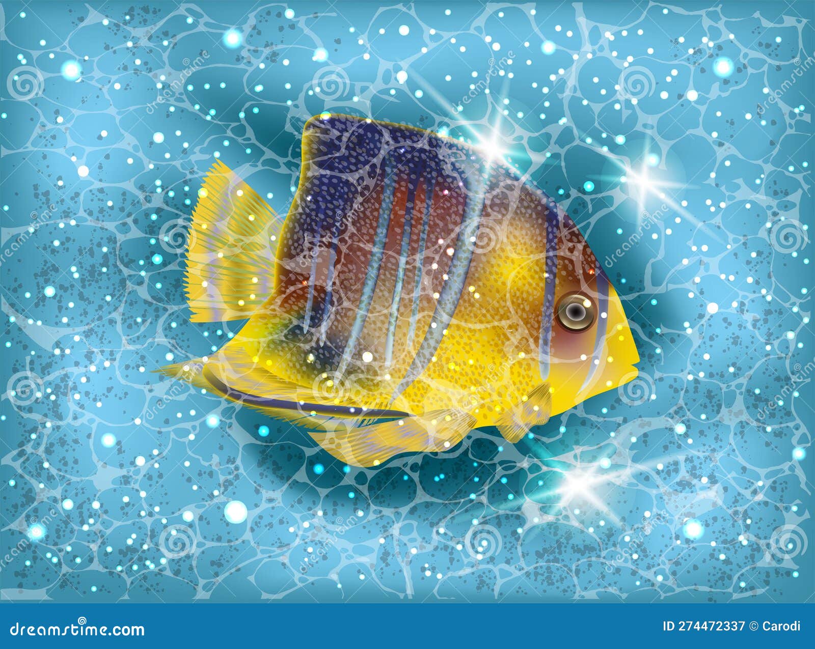 Caribbean Blue Angelfish Underwater Summer Card, Vector Stock Vector ...