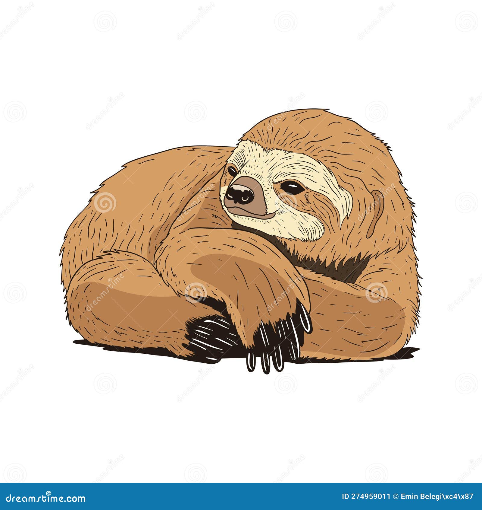 Sloth Illustration, Lying on the Floor Looking Lazy. Vector Stock ...