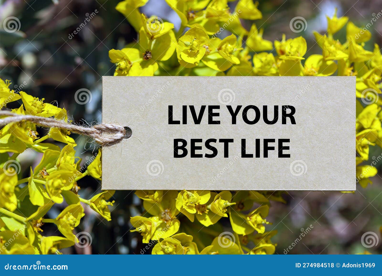 Live Your Best Life Word on Paper Stock Photo - Image of advice, goal ...