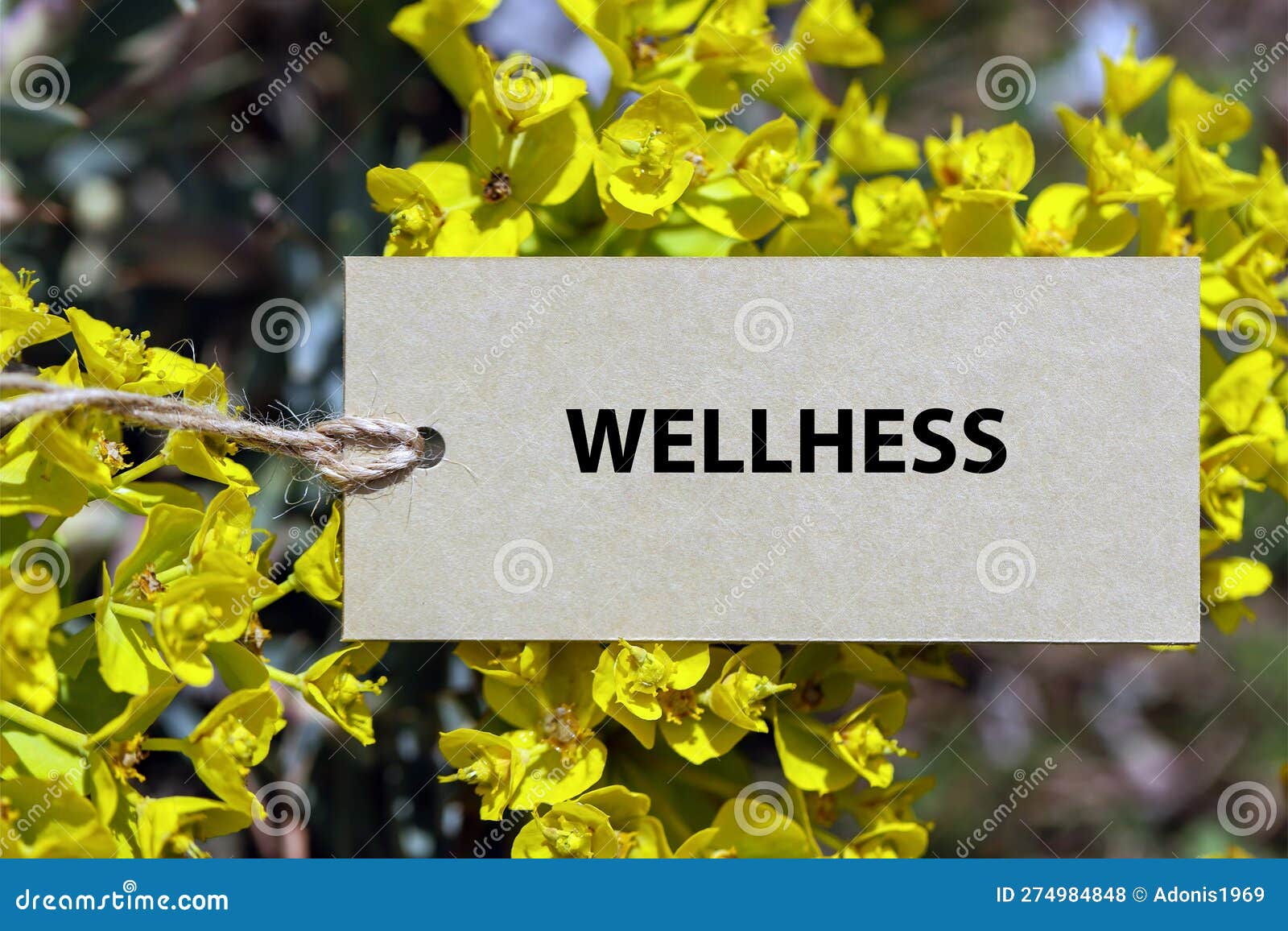 Wellness word on paper stock photo. Image of body, healthy - 274984848