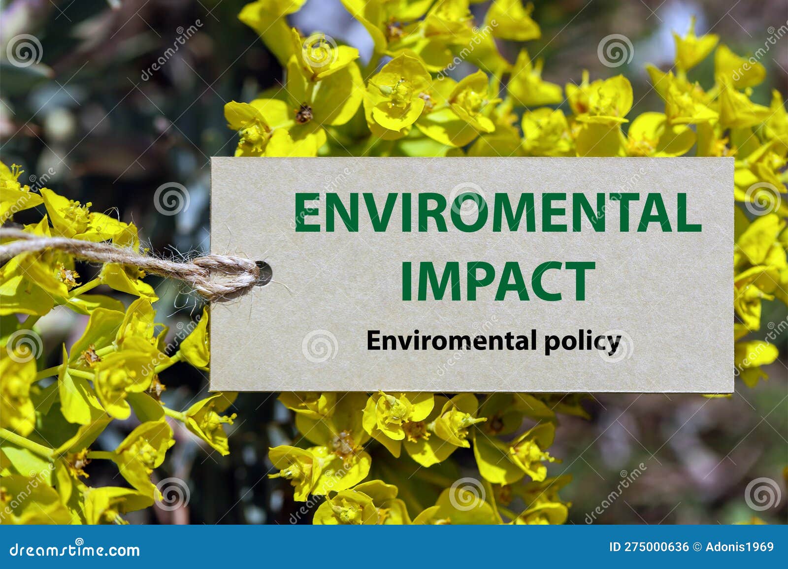 Enviromental Impact Word on Paper Stock Photo - Image of advertising ...