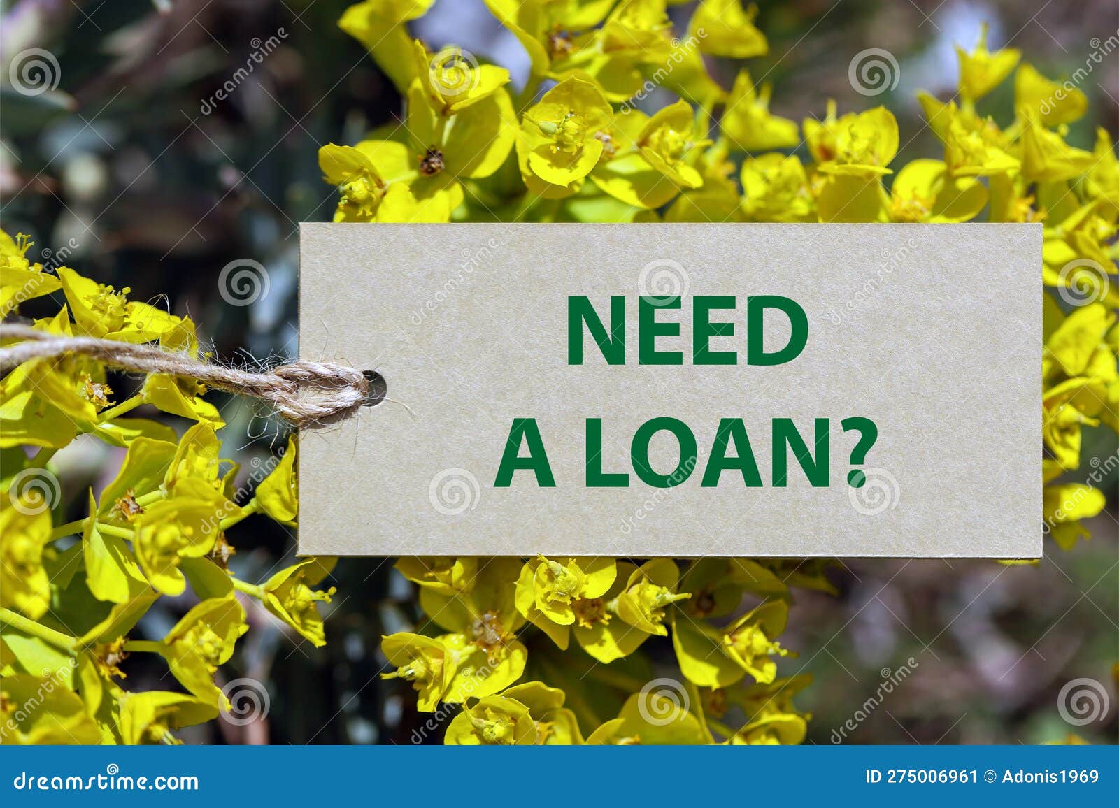 Need a loan word on paper stock image. Image of print - 275006961