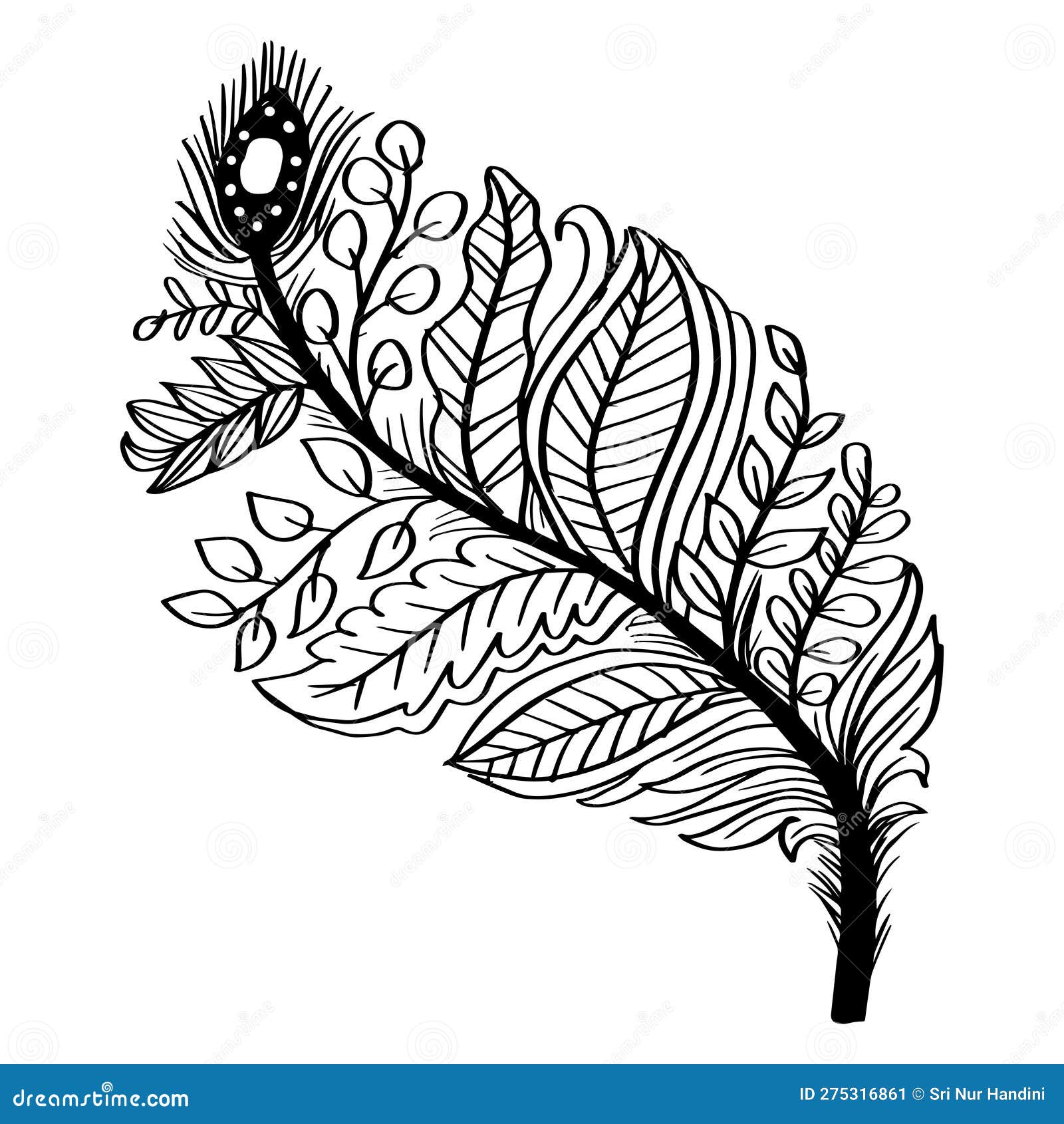 Zentangle Feather Vector Pattern | CartoonDealer.com #93088311