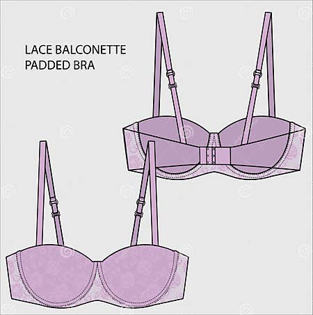Padded Brazer Bra for Women and Girls Wear Stock Vector - Illustration ...