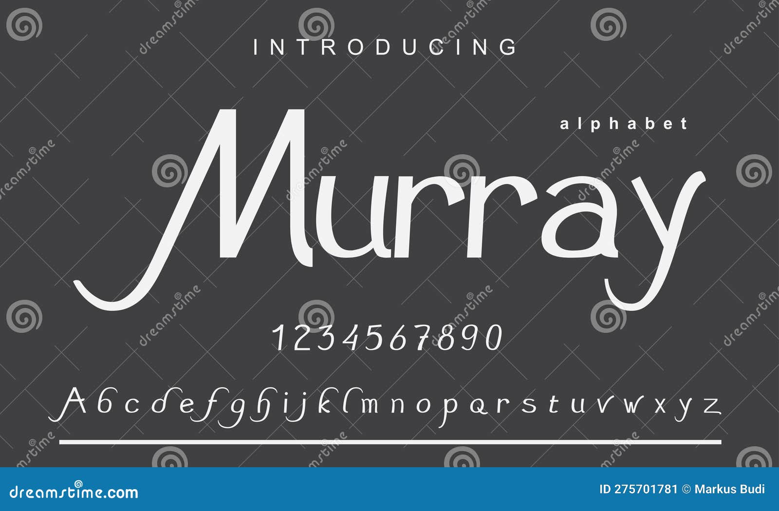 Murray Font. Elegant Alphabet Letters Font and Number Stock Vector ...