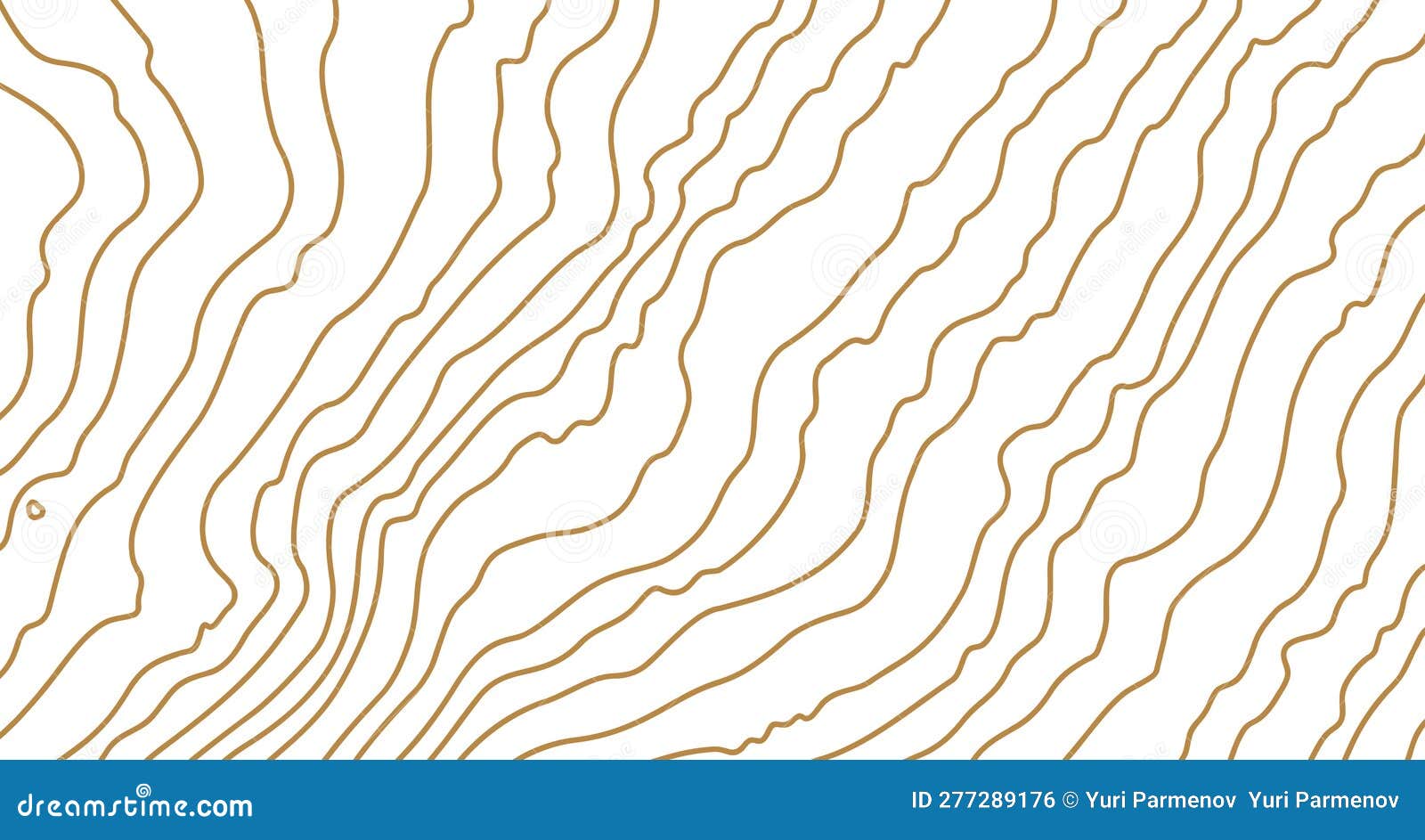 Gold Wooden Pattern. Wood Grain Texture. Dense Lines. Abstract White ...