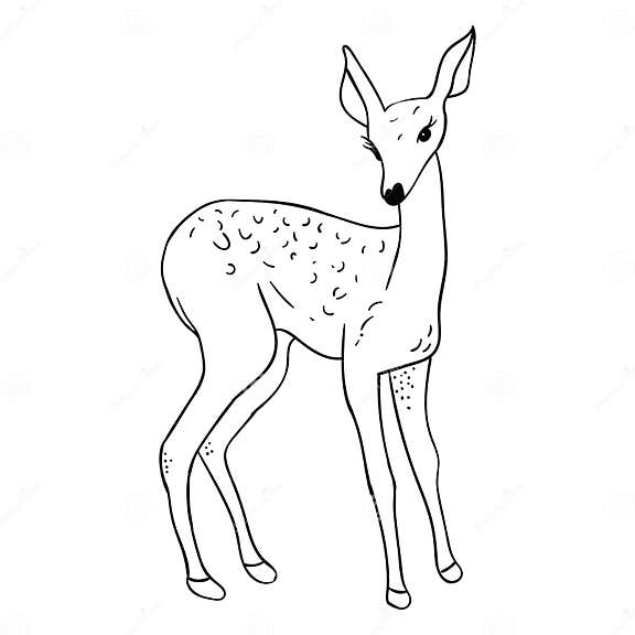 Deer hand drawing vector stock vector. Illustration of animal - 278197415