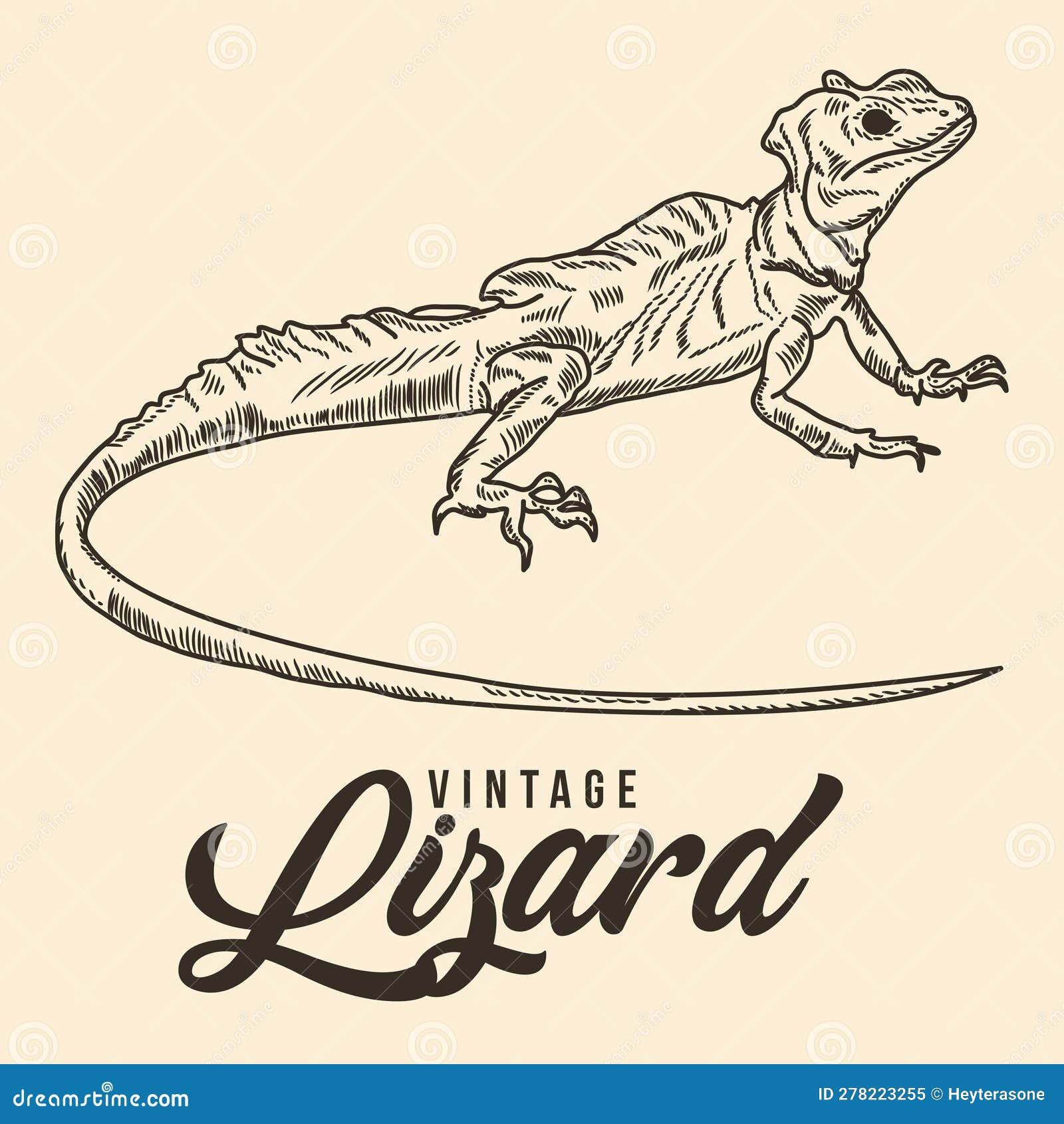 Vintage Hand Drawing Lizard Sketch Vector Stock Illustration Stock ...