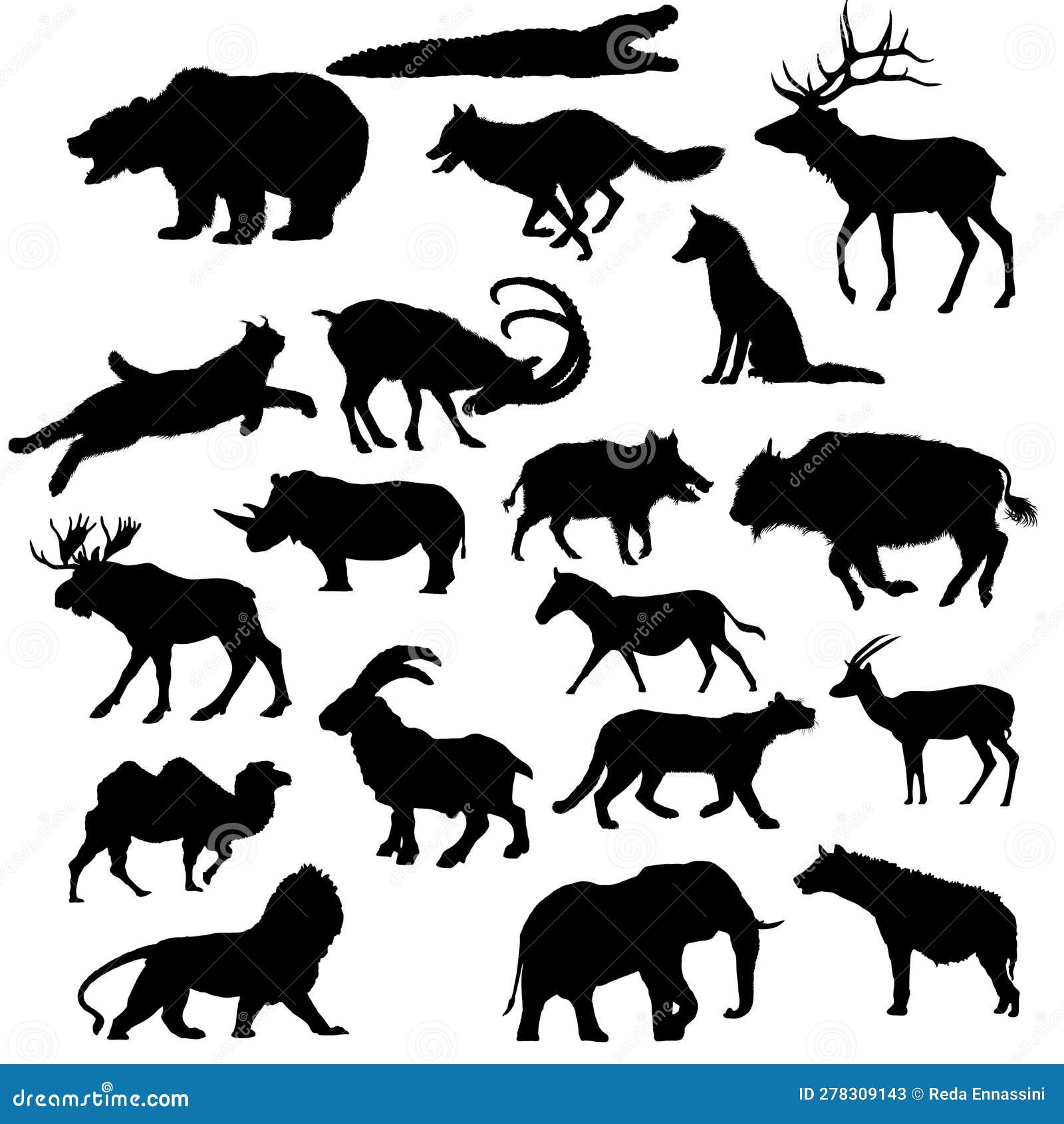 Set of Diffrent Animals Silhouettes Stock Vector - Illustration of bear ...