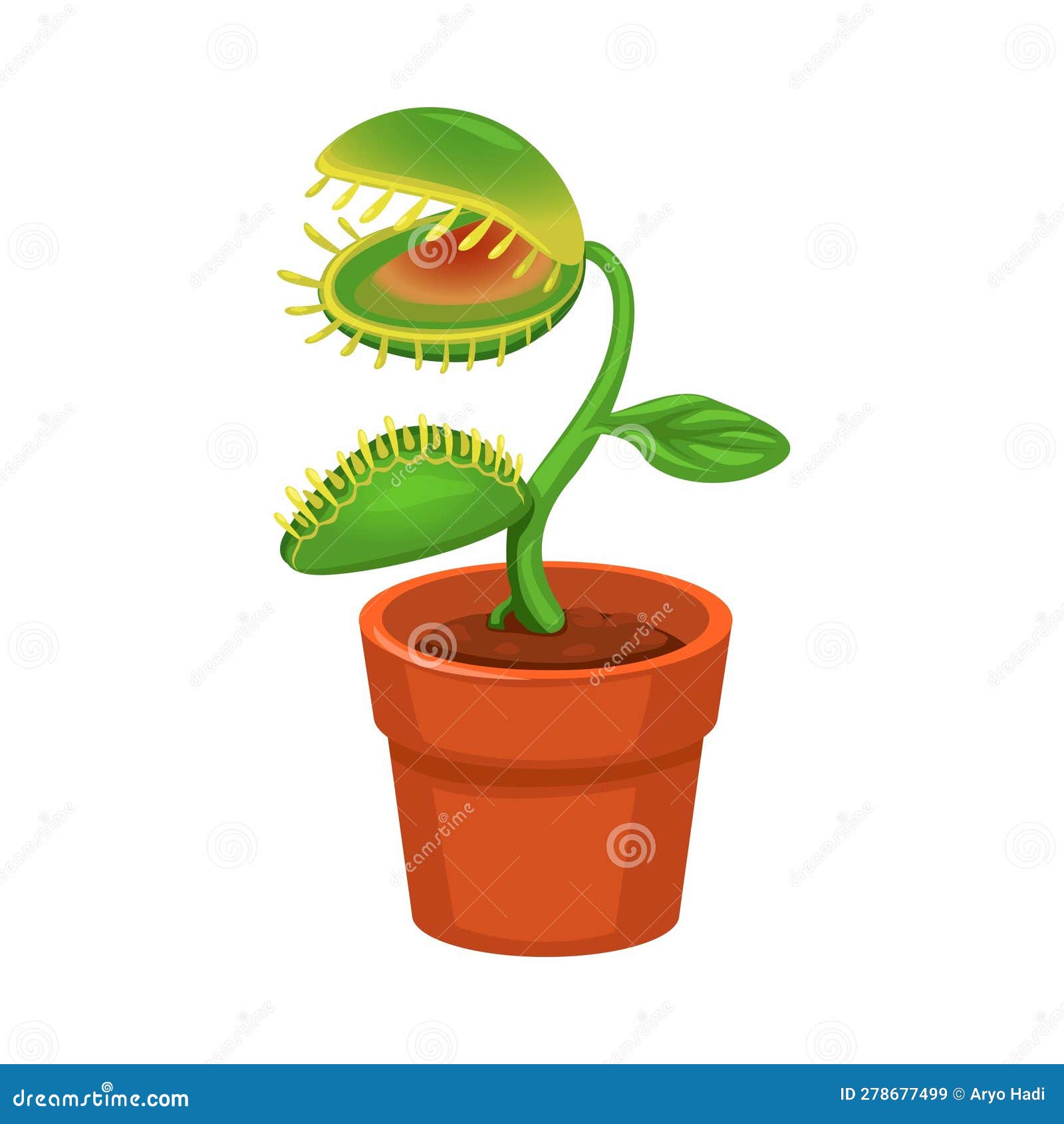 Insectivorous Plant Pinguicula, Set Of Three Bushes Of Carnivorous ...