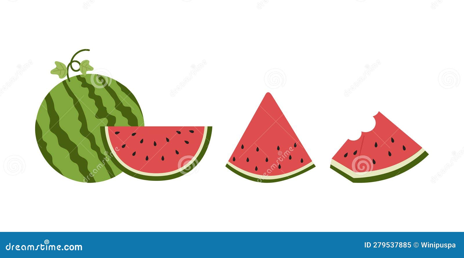 Fresh and Juicy Whole Watermelons and Slices Illustration Stock Vector ...
