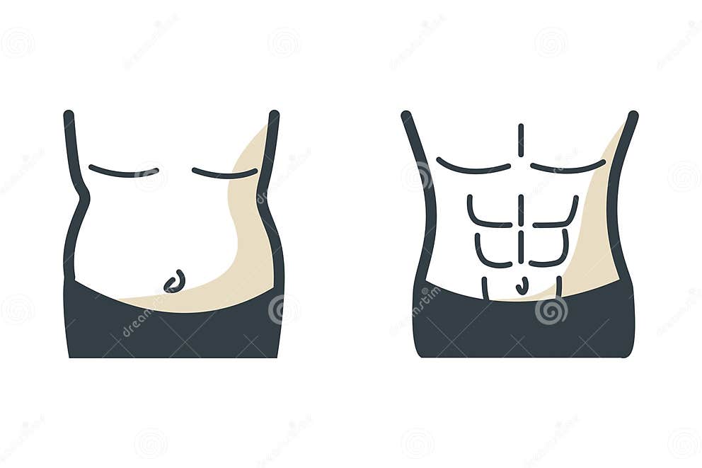 Illustration of a Stomach between Fat and Six Packs Stock Illustration ...