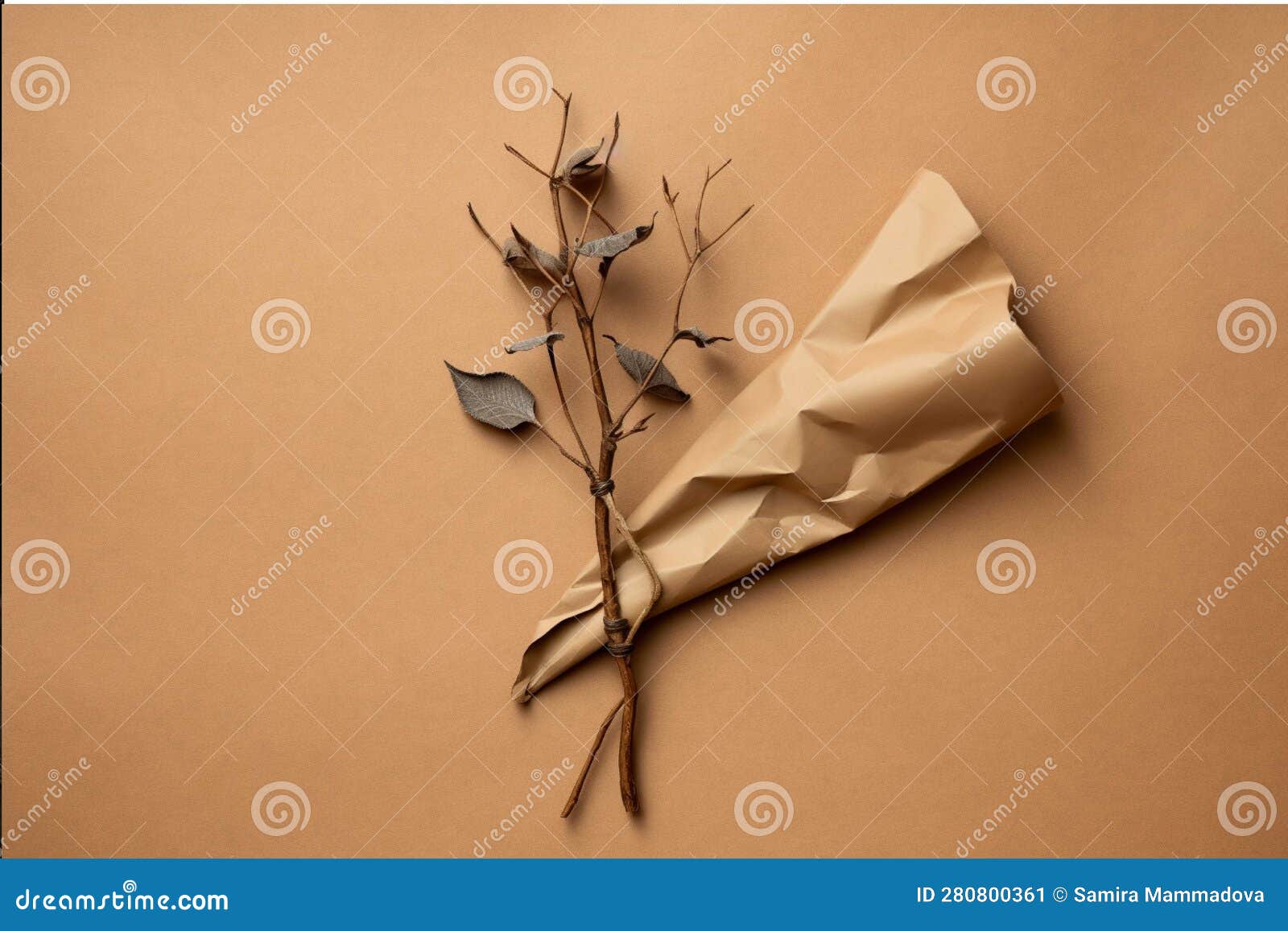 Dried Crumpled Leaves Money Tree And Withered Flowers Geraniums, Photo ...