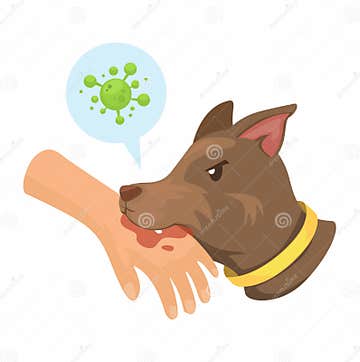 Dog Bites Hand Transmits Rabies Bacteria Virus. Animal Healthcare ...