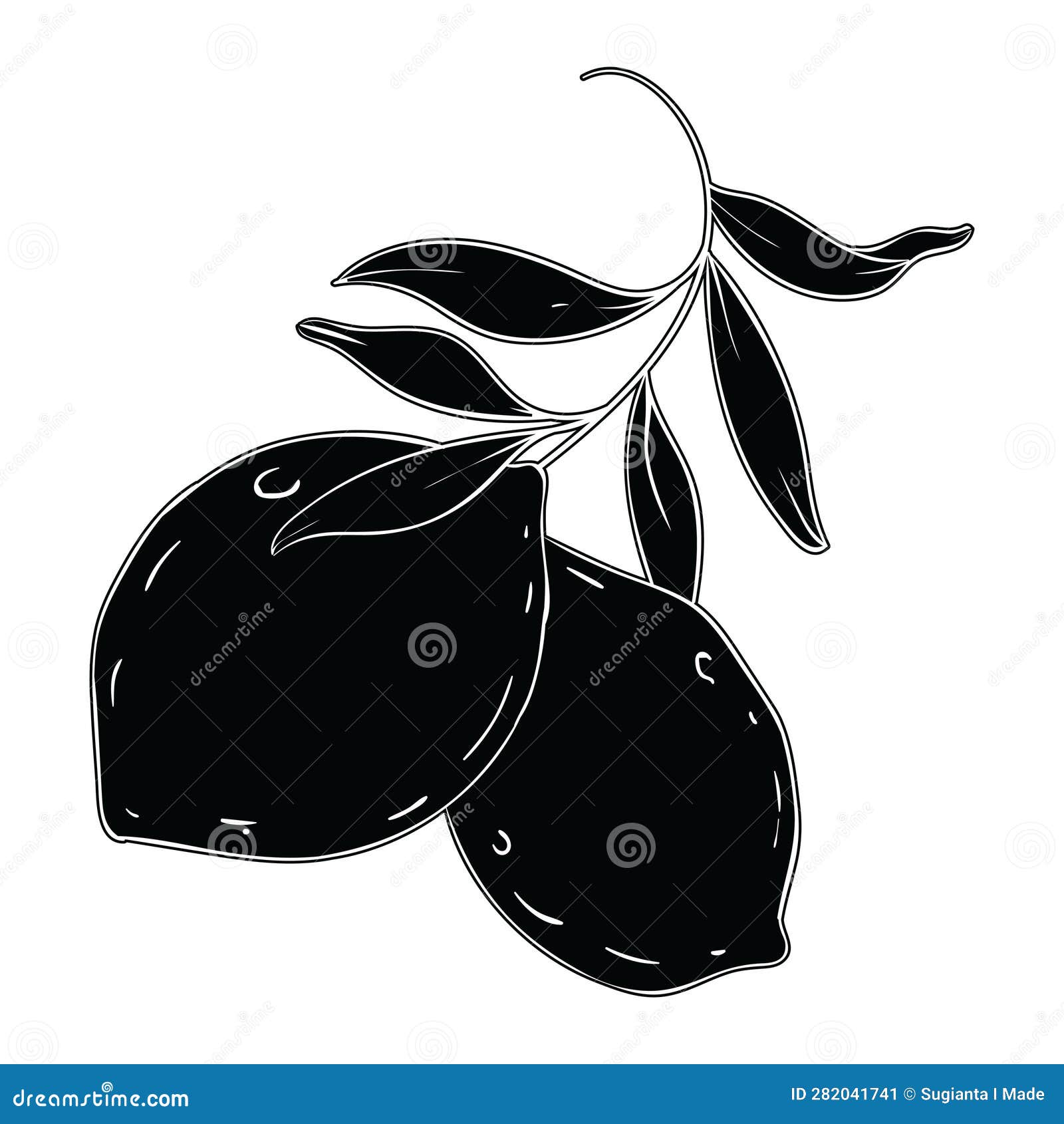 Hand drawing lime stock vector. Illustration of wetermelon - 282041741
