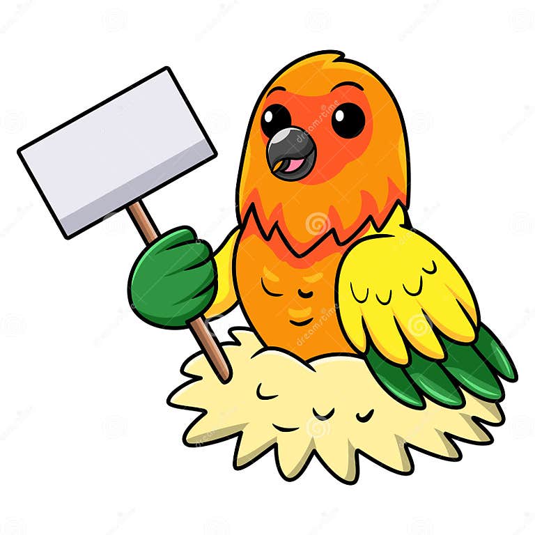Cute Sun Conure Parrot Cartoon Holding Blank Sign Stock Vector ...