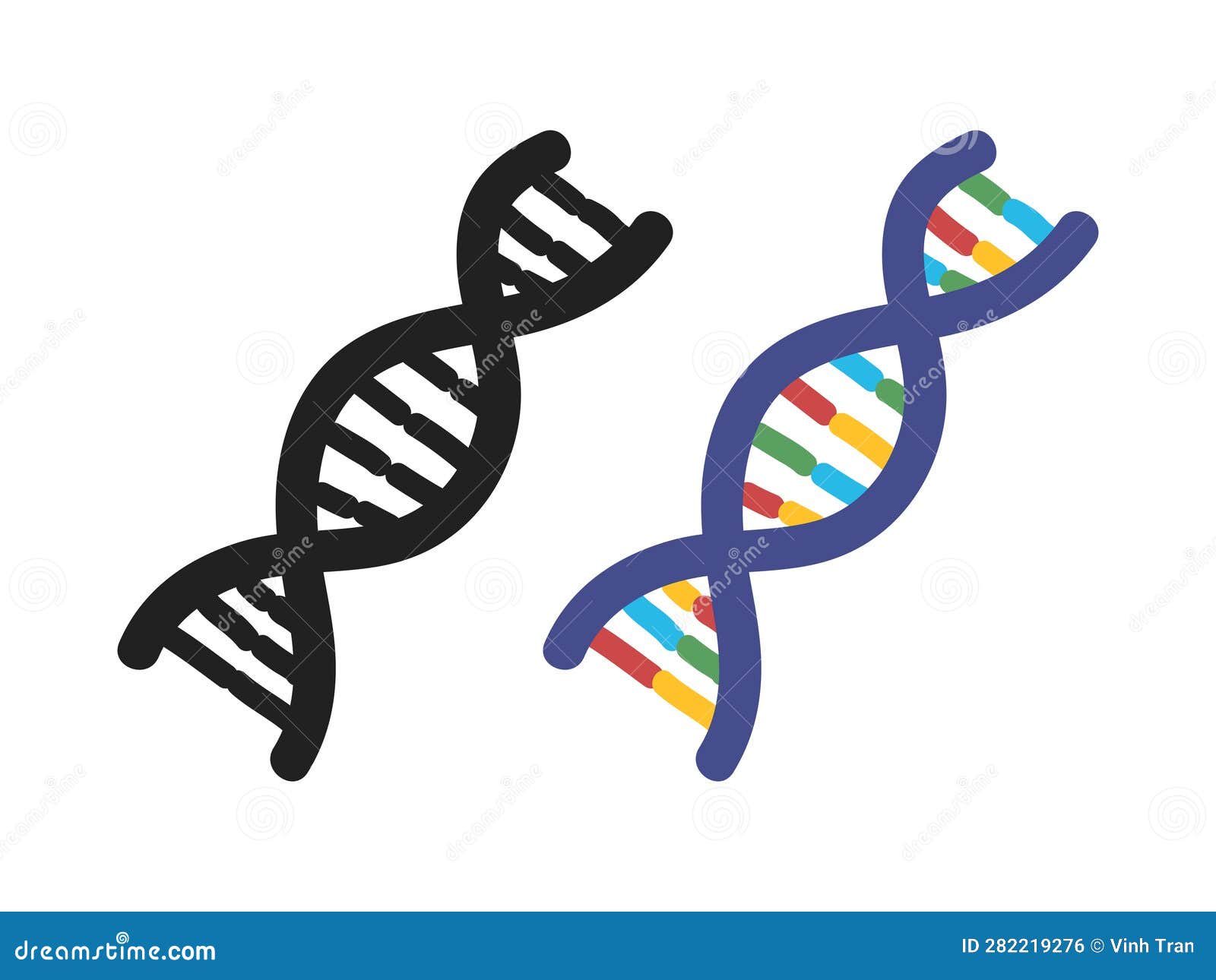 DNA Clipart Cartoon Style. Simple DNA Helix Silhouette and Color Doodle ...