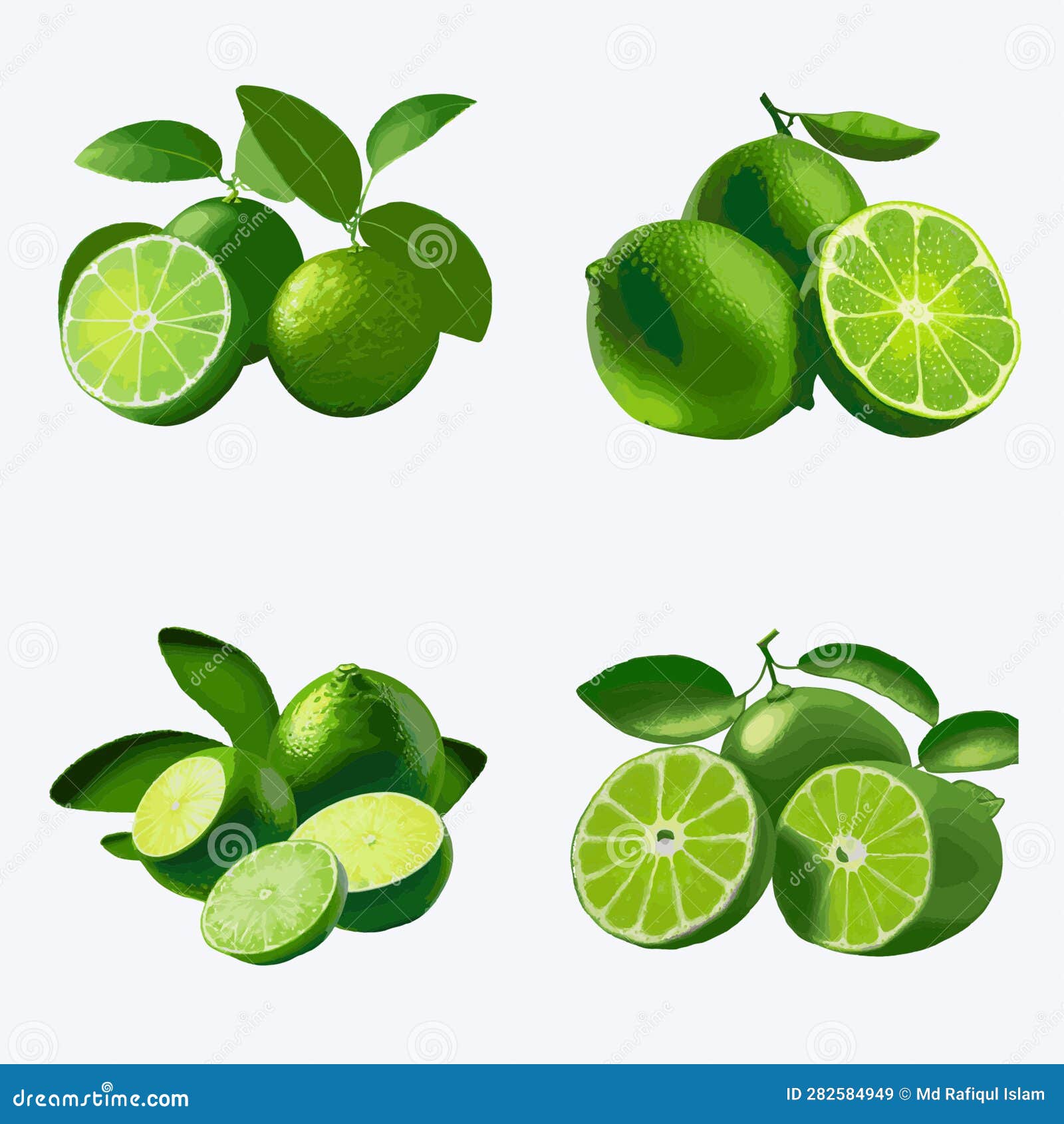 Lime Set with Slices and Leaves Isolated on White Background. Vector ...