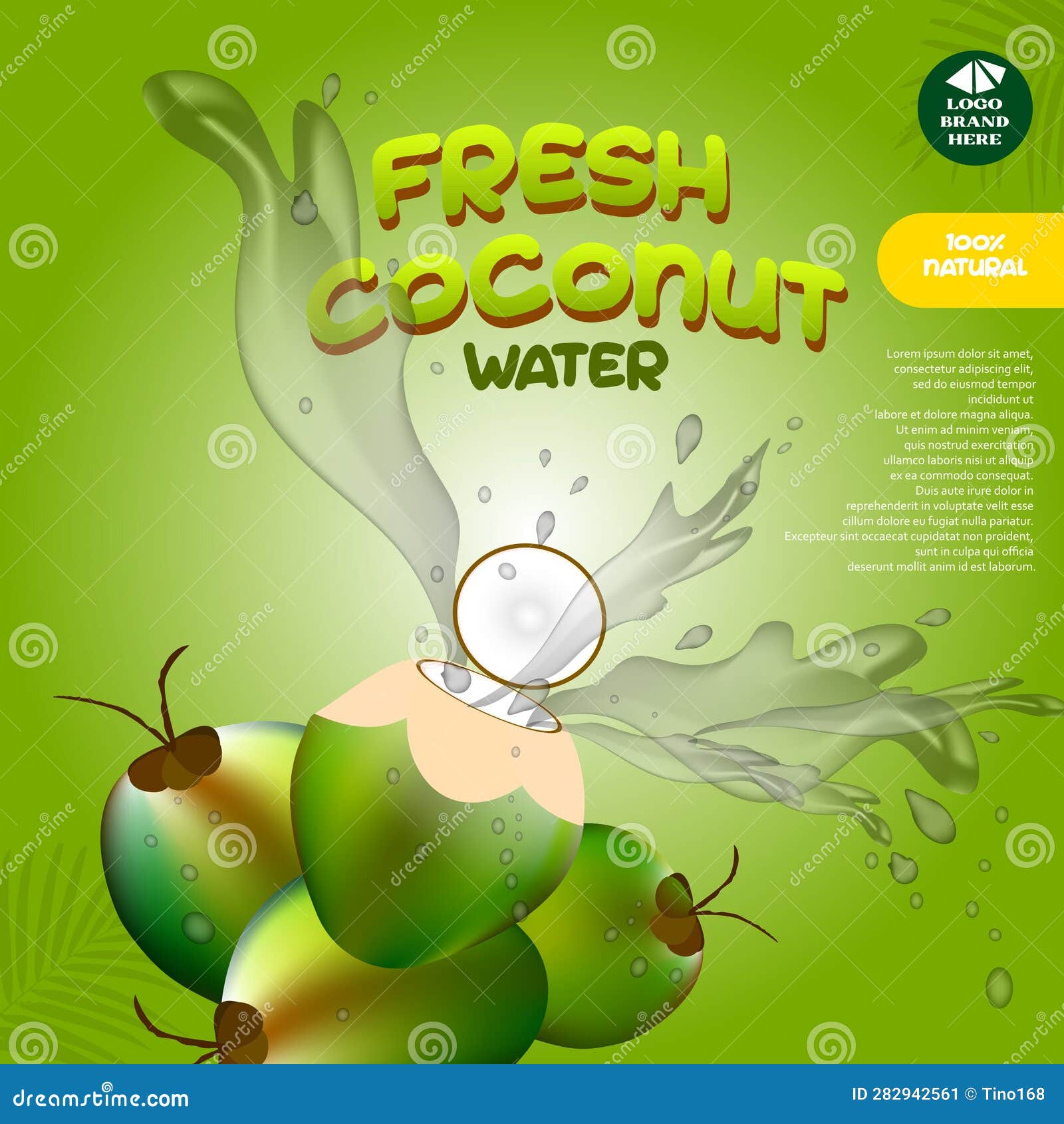 Fresh Coconut Water Ads Template. Vector Illustration of Fresh Coconuts ...