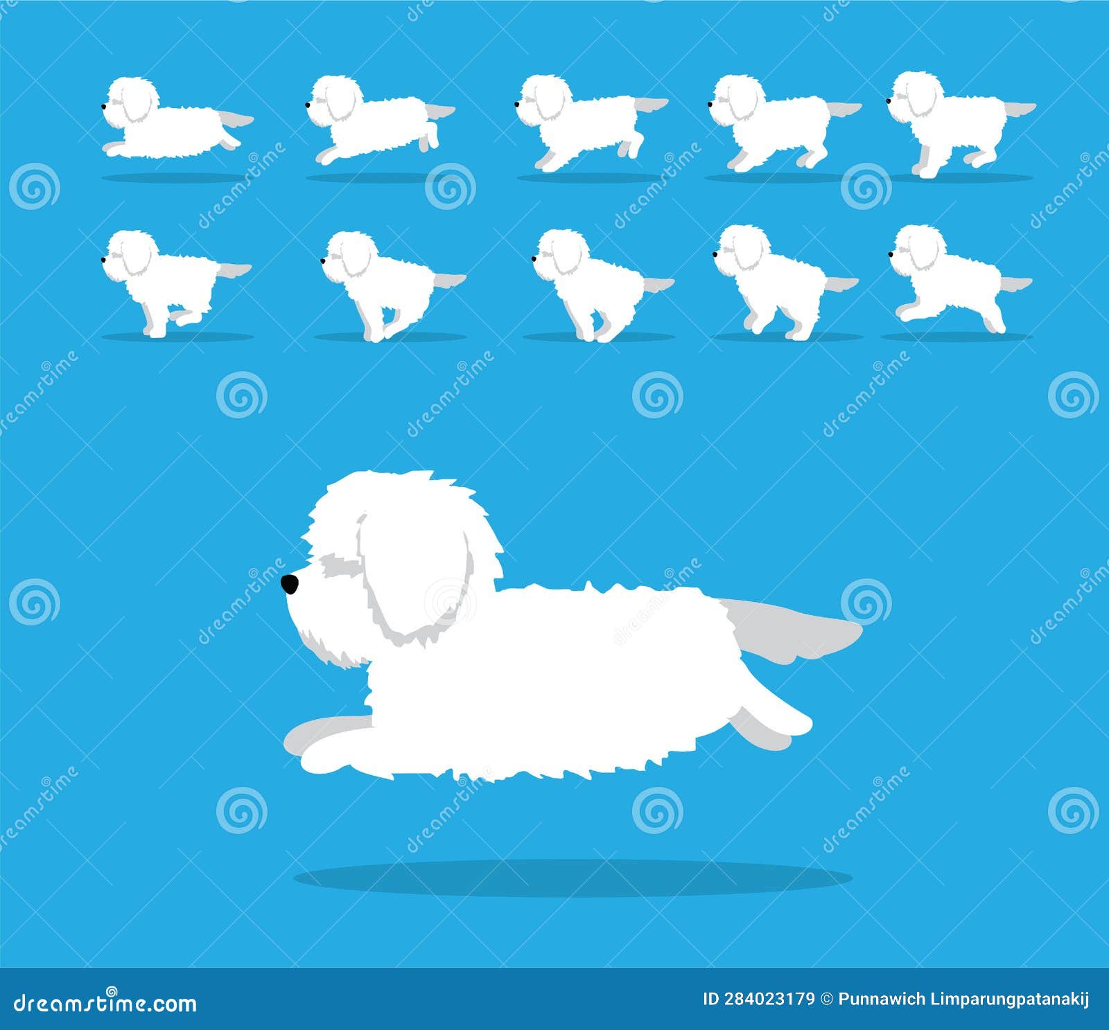 Animal Animation Sequence Dog Lhasa Apso Cartoon Vector Stock Vector ...
