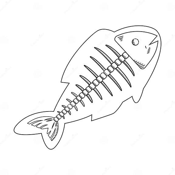 Vector Illustration of Fish Bones Stock Vector - Illustration of vector ...